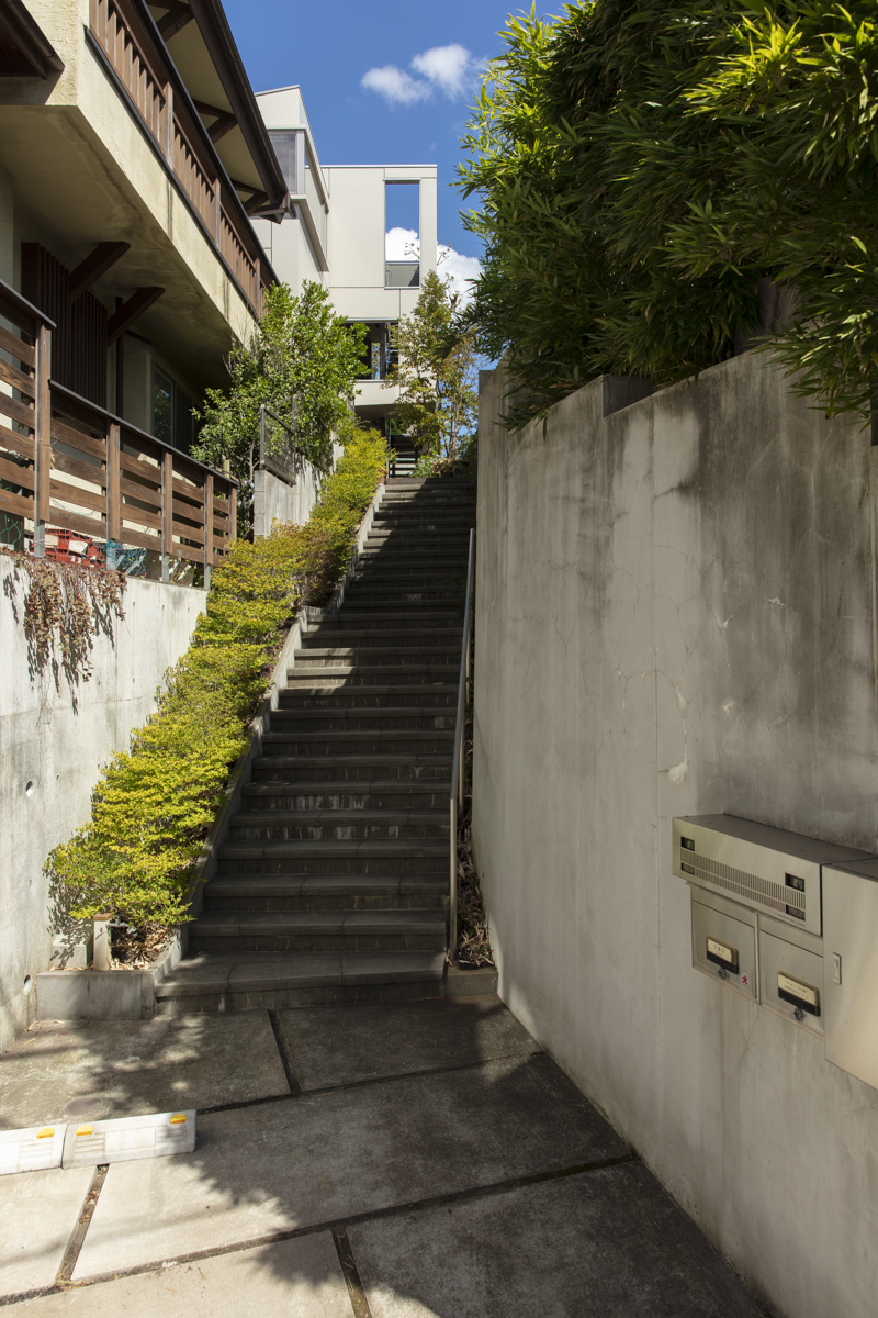 House D by AMANE ARCHITECTS - Architizer