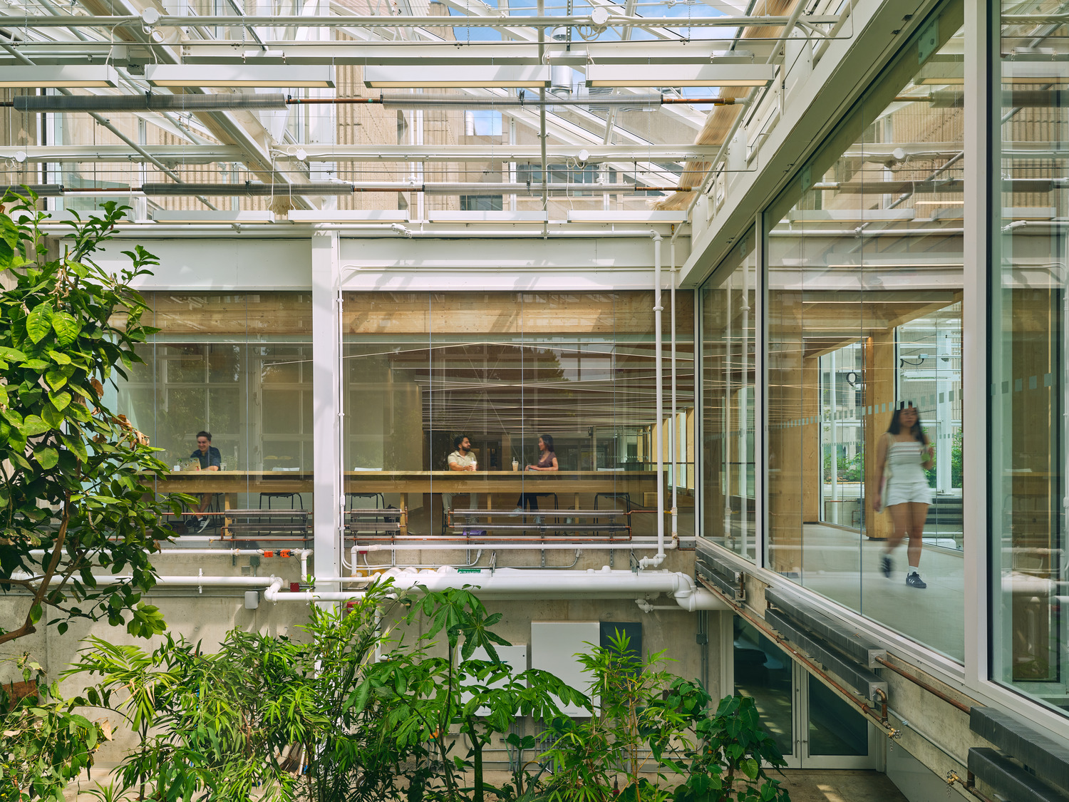 McMaster Life Science Building and Greenhouse by Moriyama Teshima ...