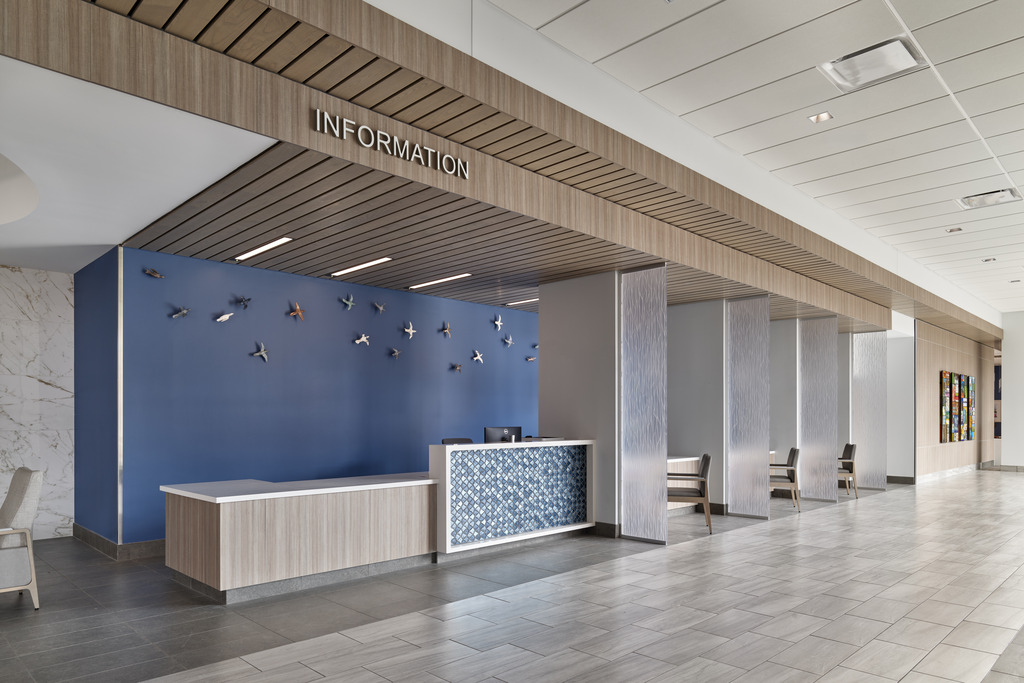 Cedar Hill Regional Medical Center GW Health by HOK - Architizer