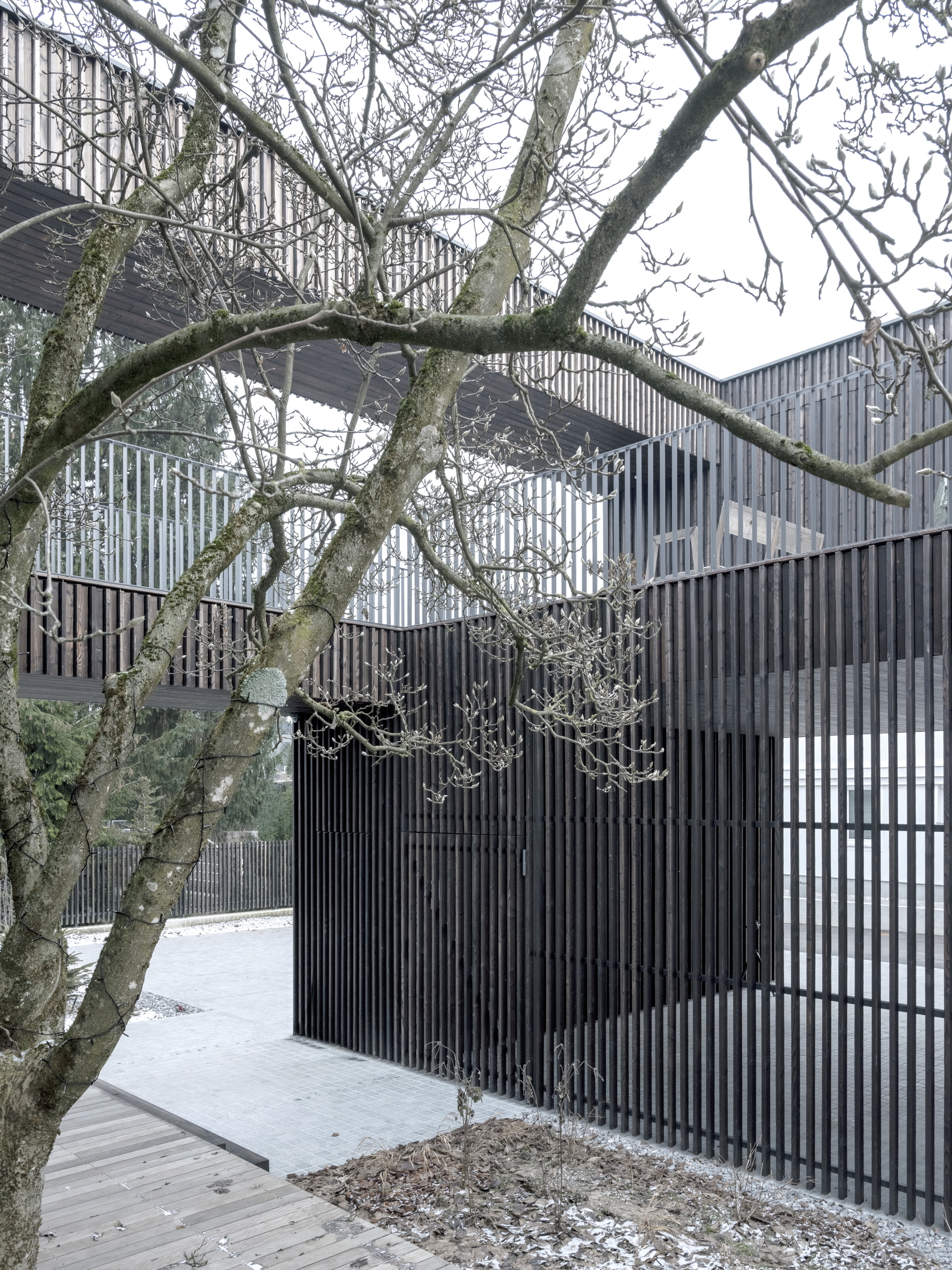 Catwalk House by OFIS architects - Architizer