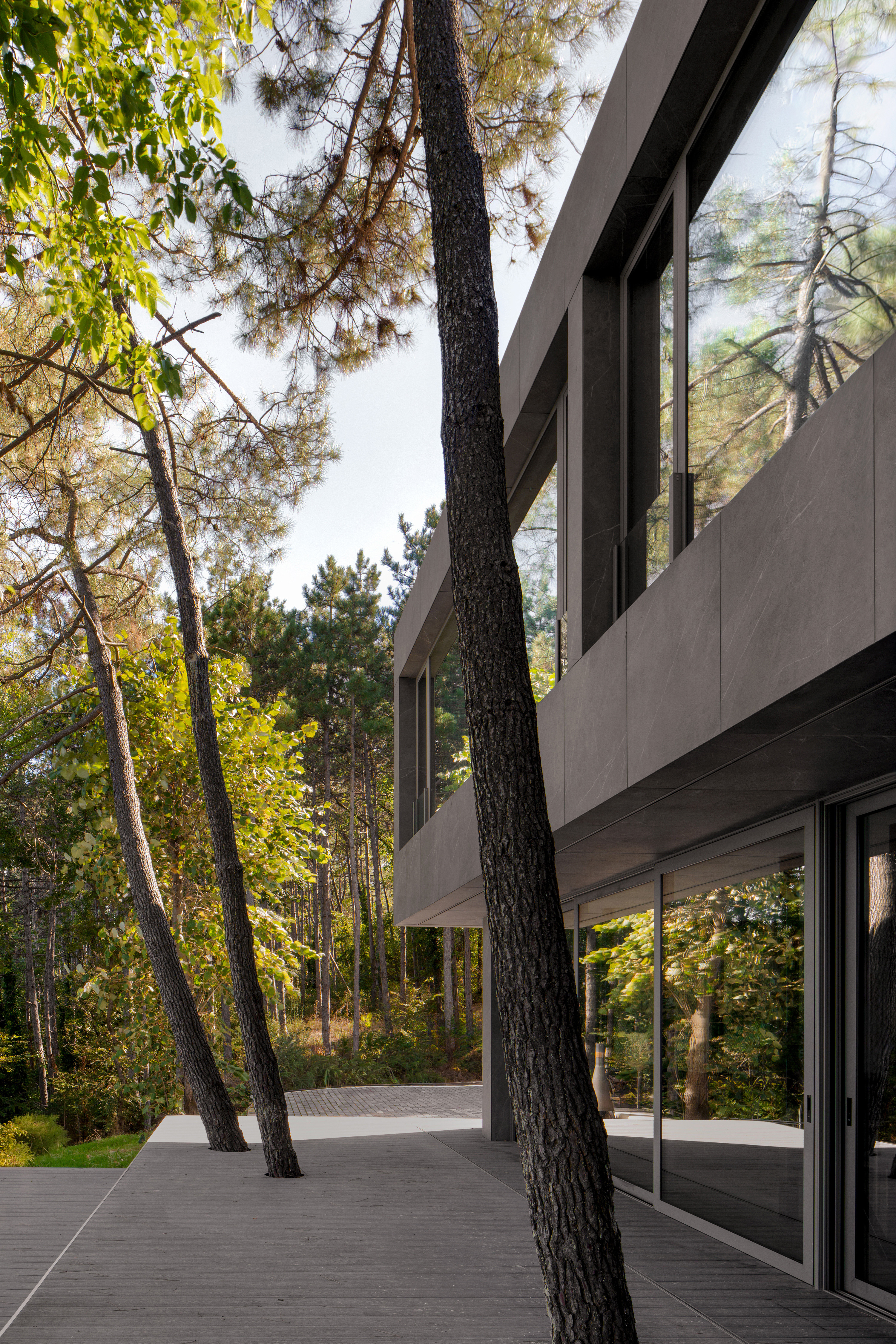 Pine House by STARH - Architizer