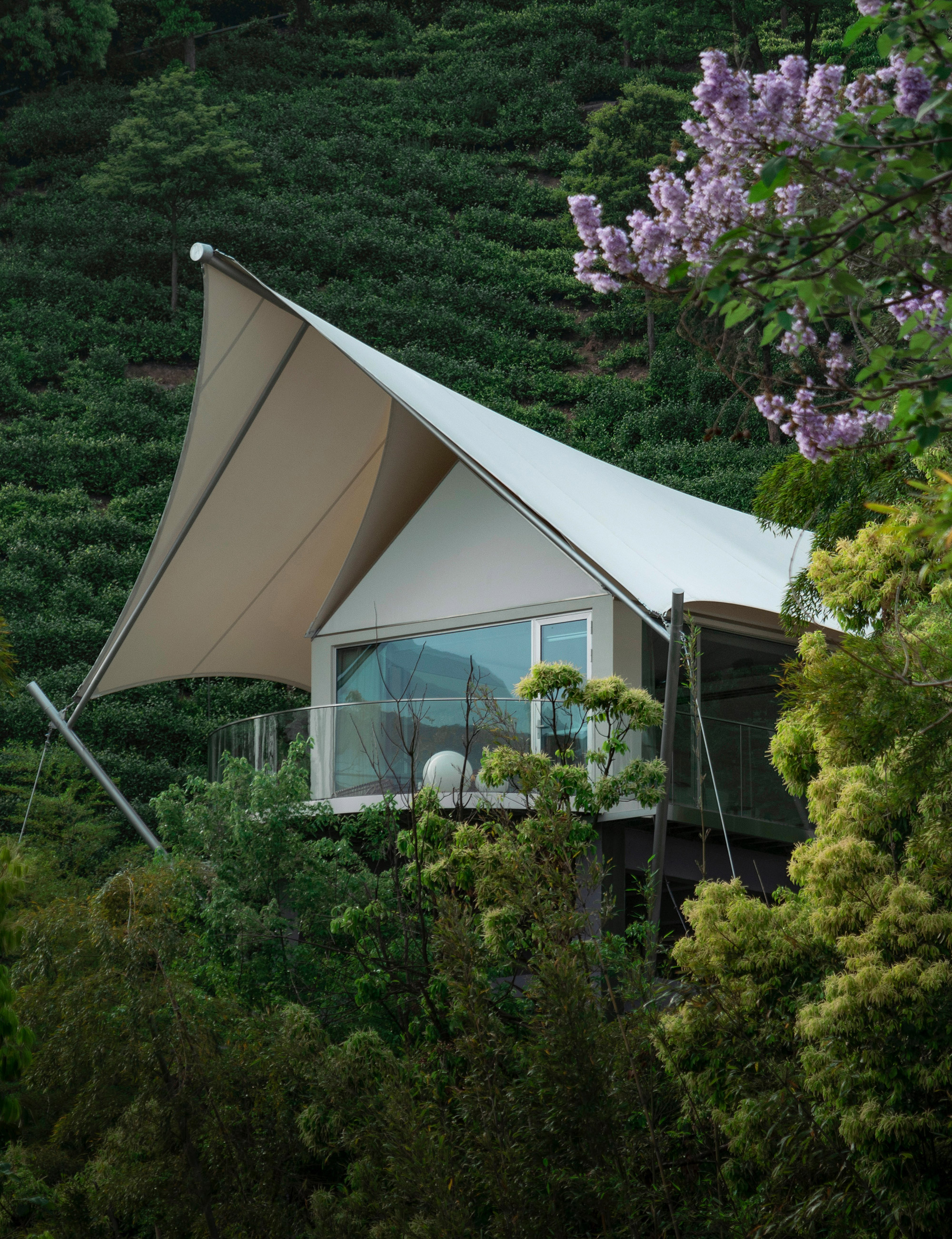 Yunju Tent Hotel: Rejuvenating the Tea Sea with Light Sails by Slow ...