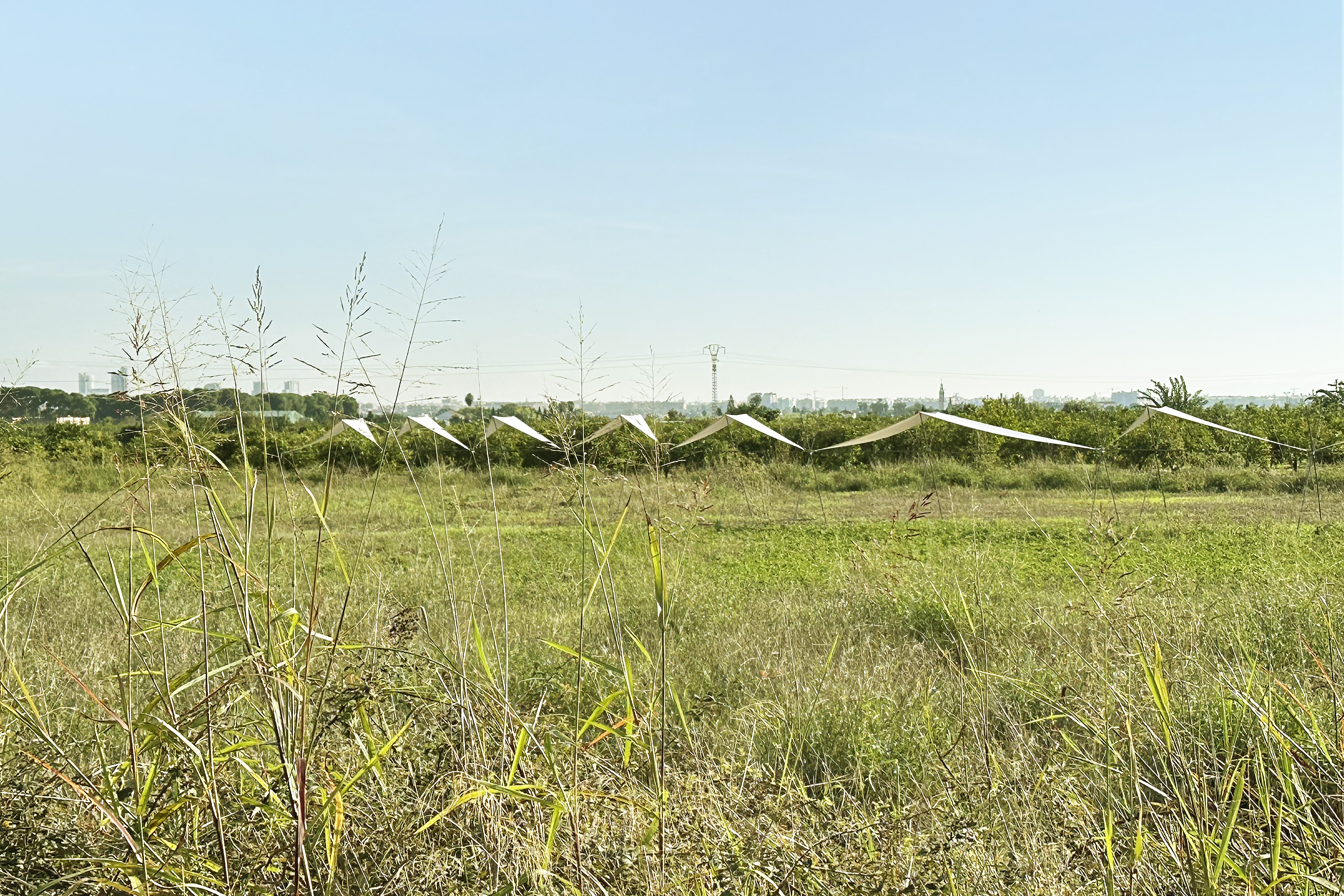 100 Linear Meters Pavilion by ELETRES STUDIO - Architizer