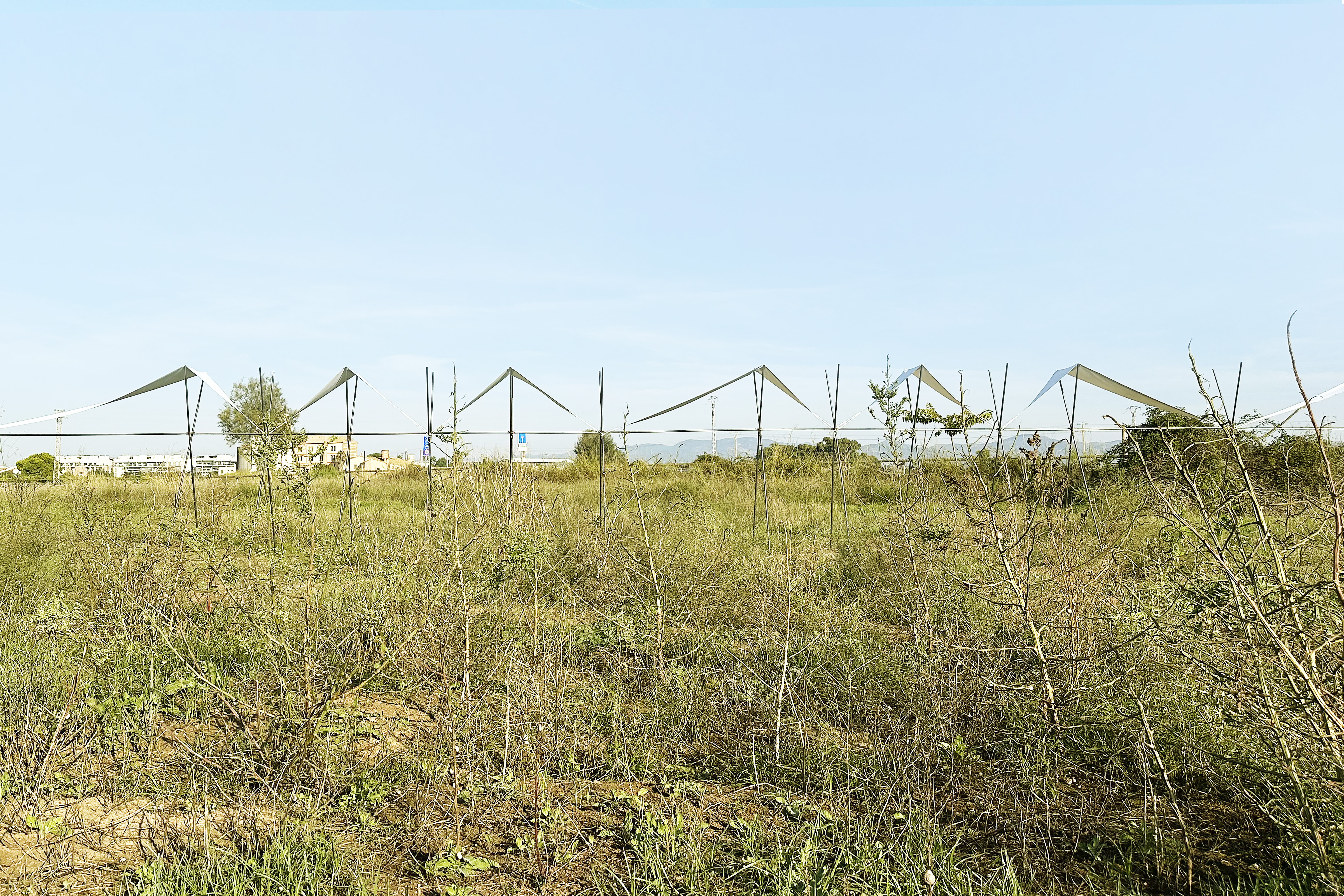 100 Linear Meters Pavilion by ELETRES STUDIO - Architizer