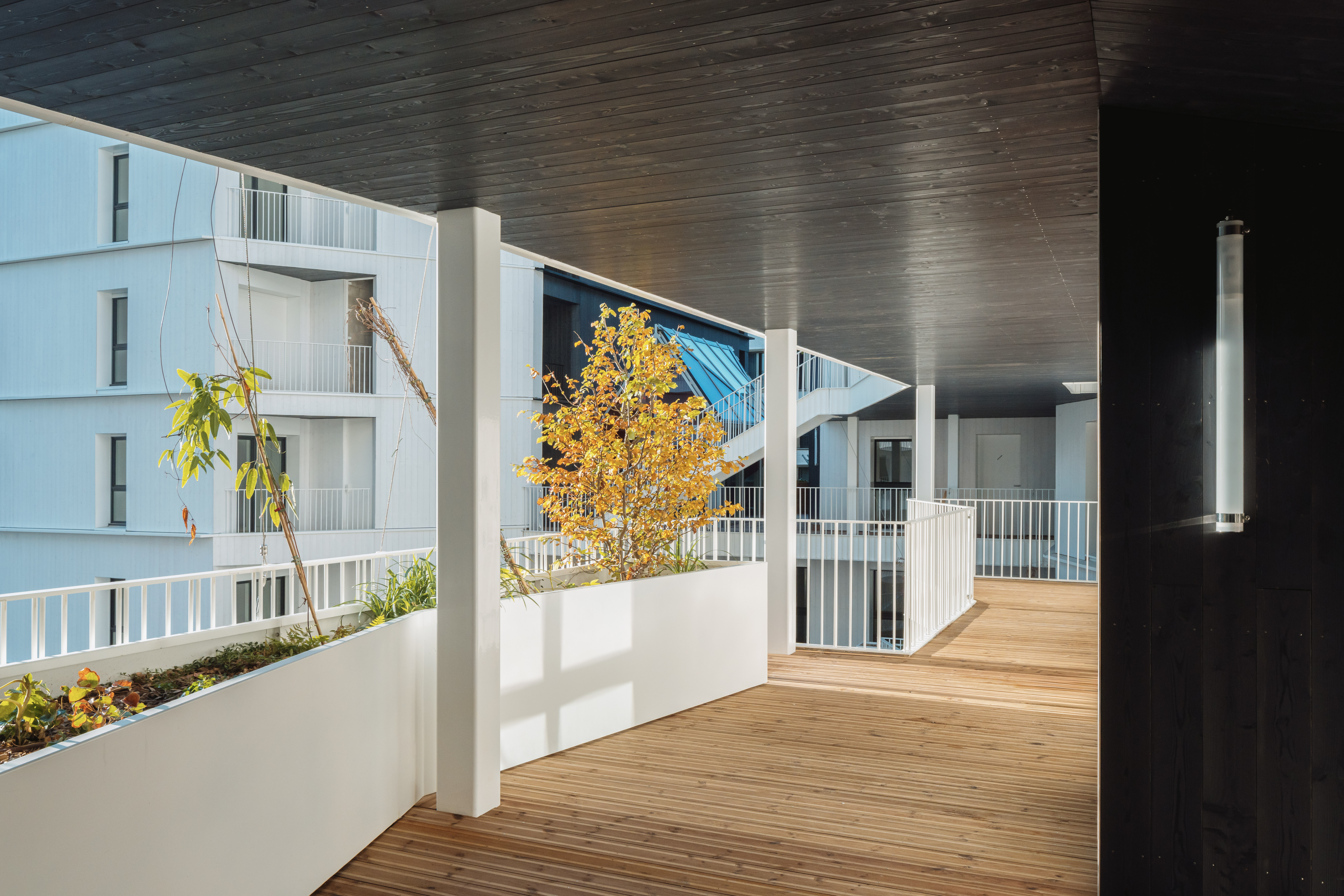 NUDGE by AAVP architecture - Architizer
