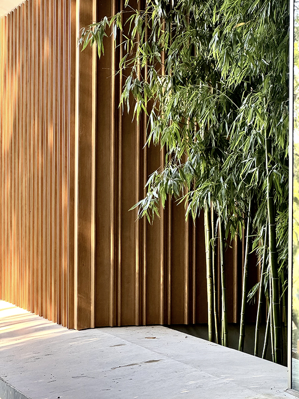 The Concrete House by atelier eyster architecture - Architizer