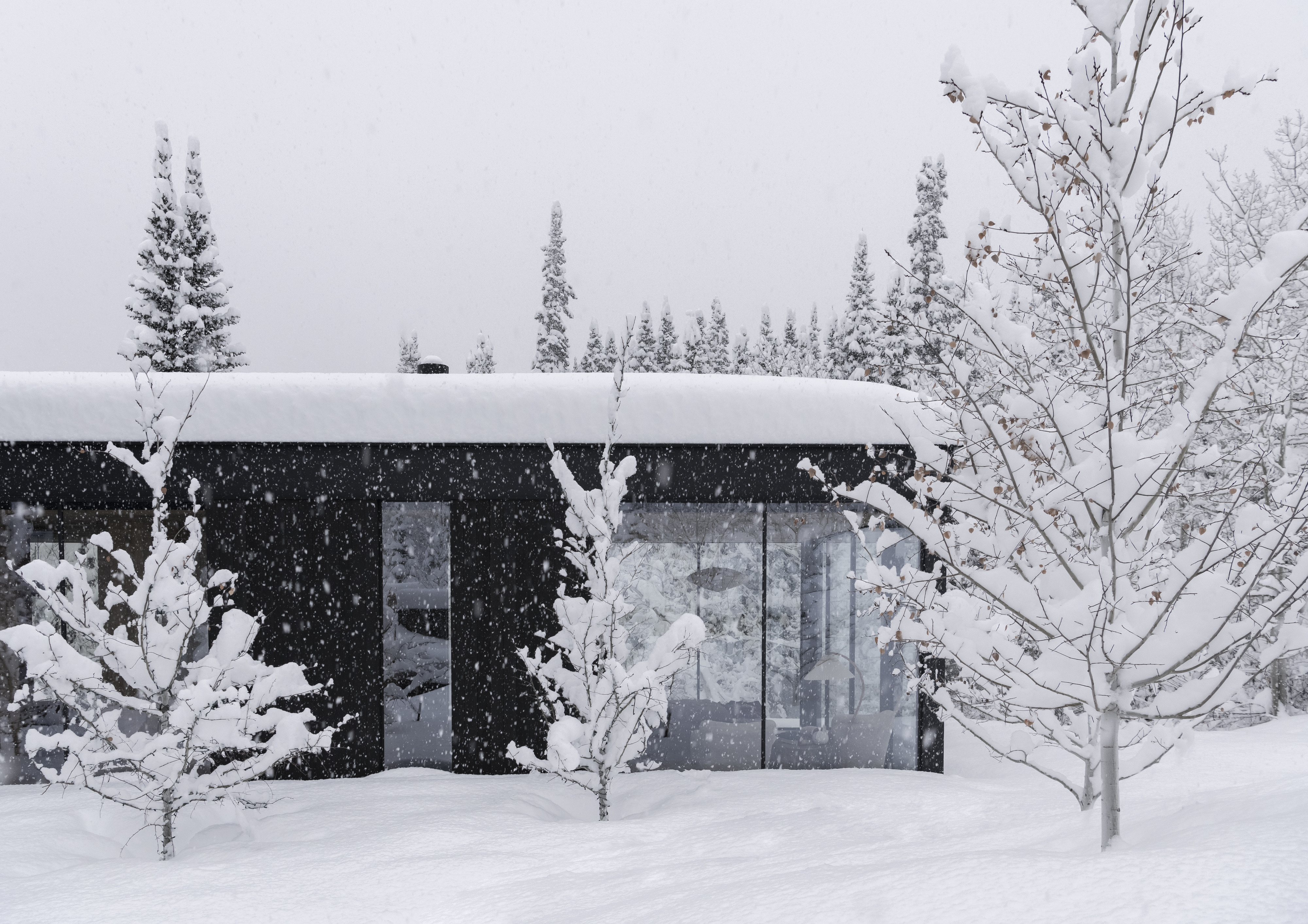 Hayden House by Design Workshop - Architizer