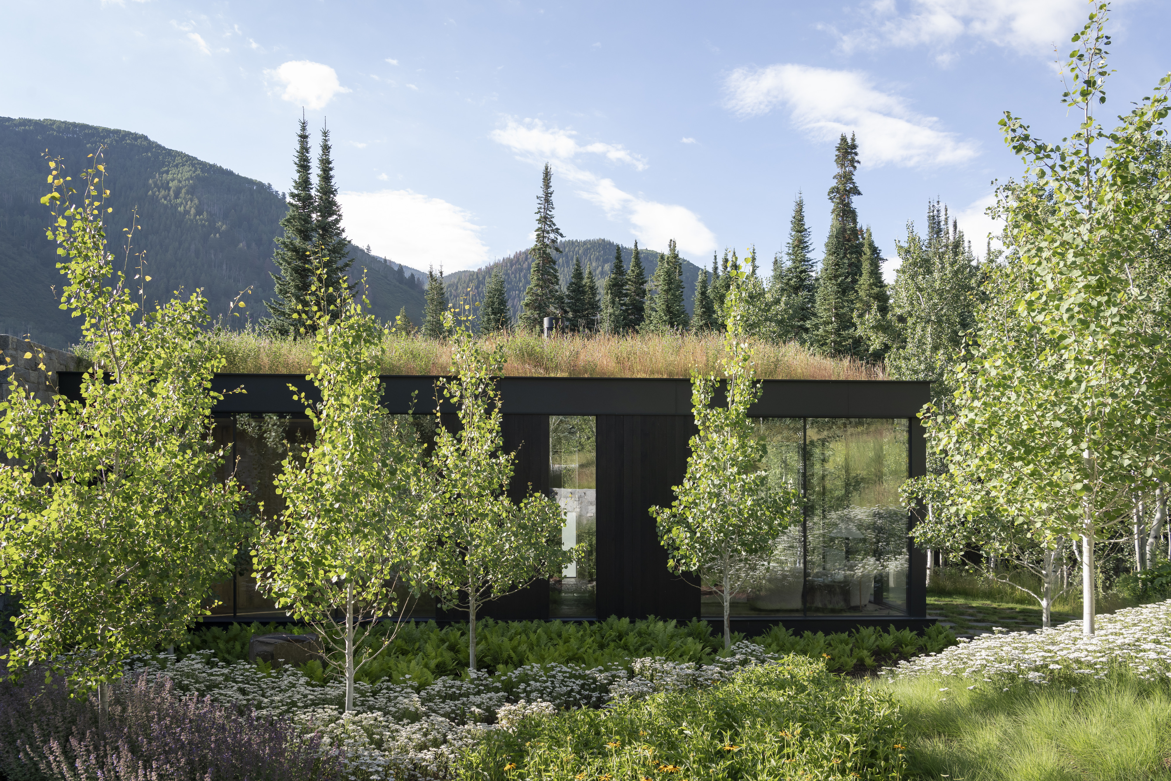 Hayden House by Design Workshop - Architizer