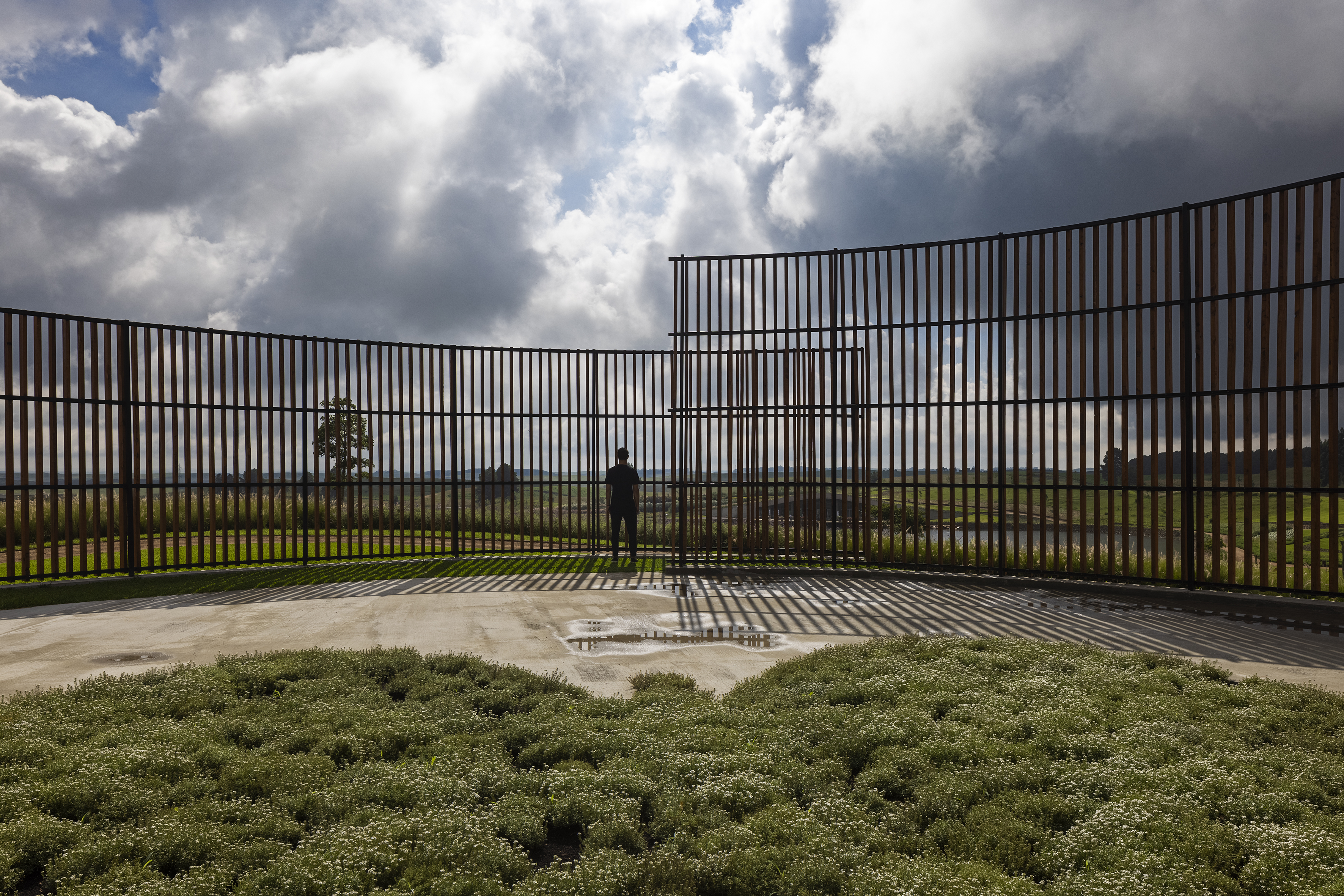 Farfalla by Alencar - Architizer