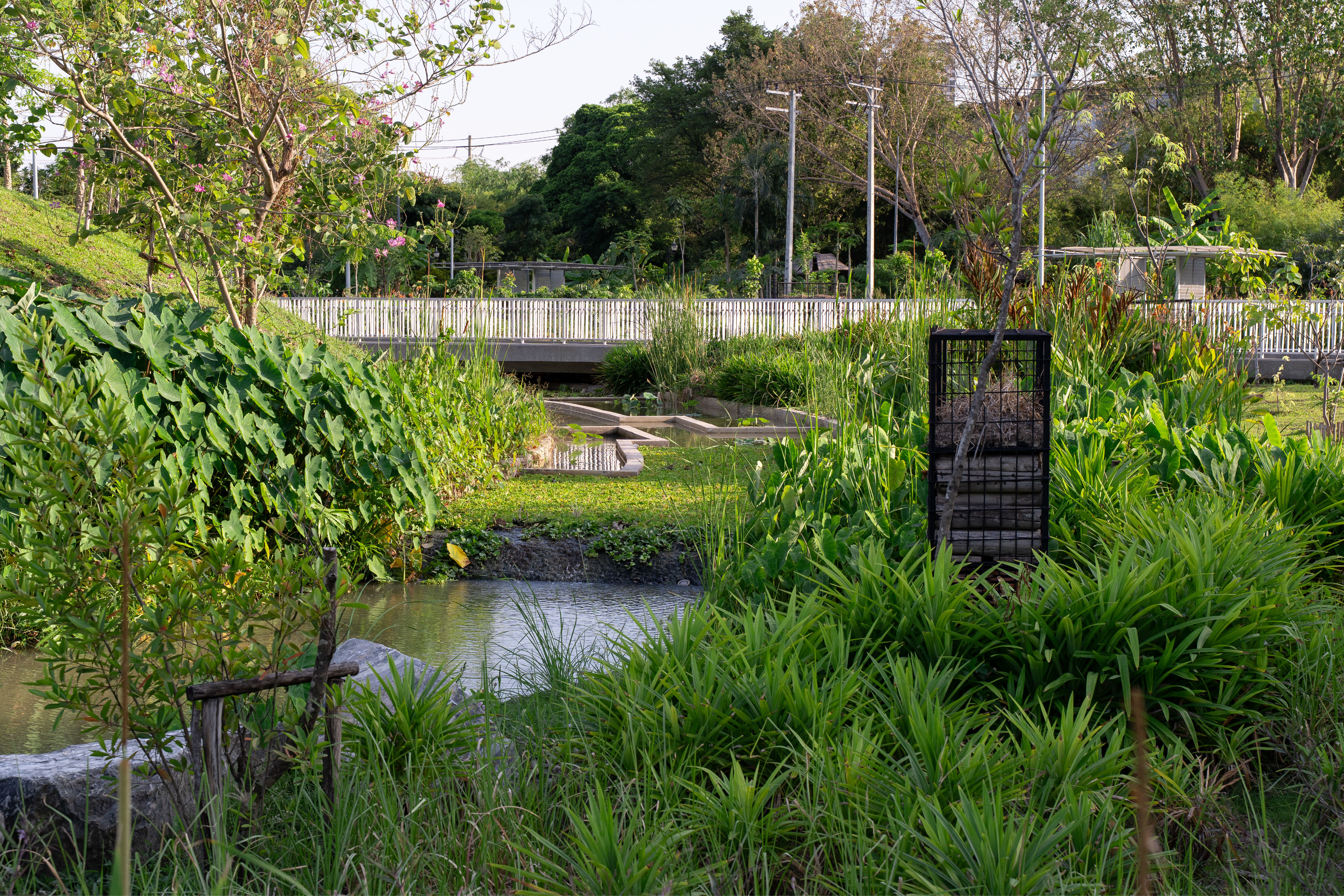 Chak Phupha Su Maha Nathee Park by Shma Company Limited - Architizer