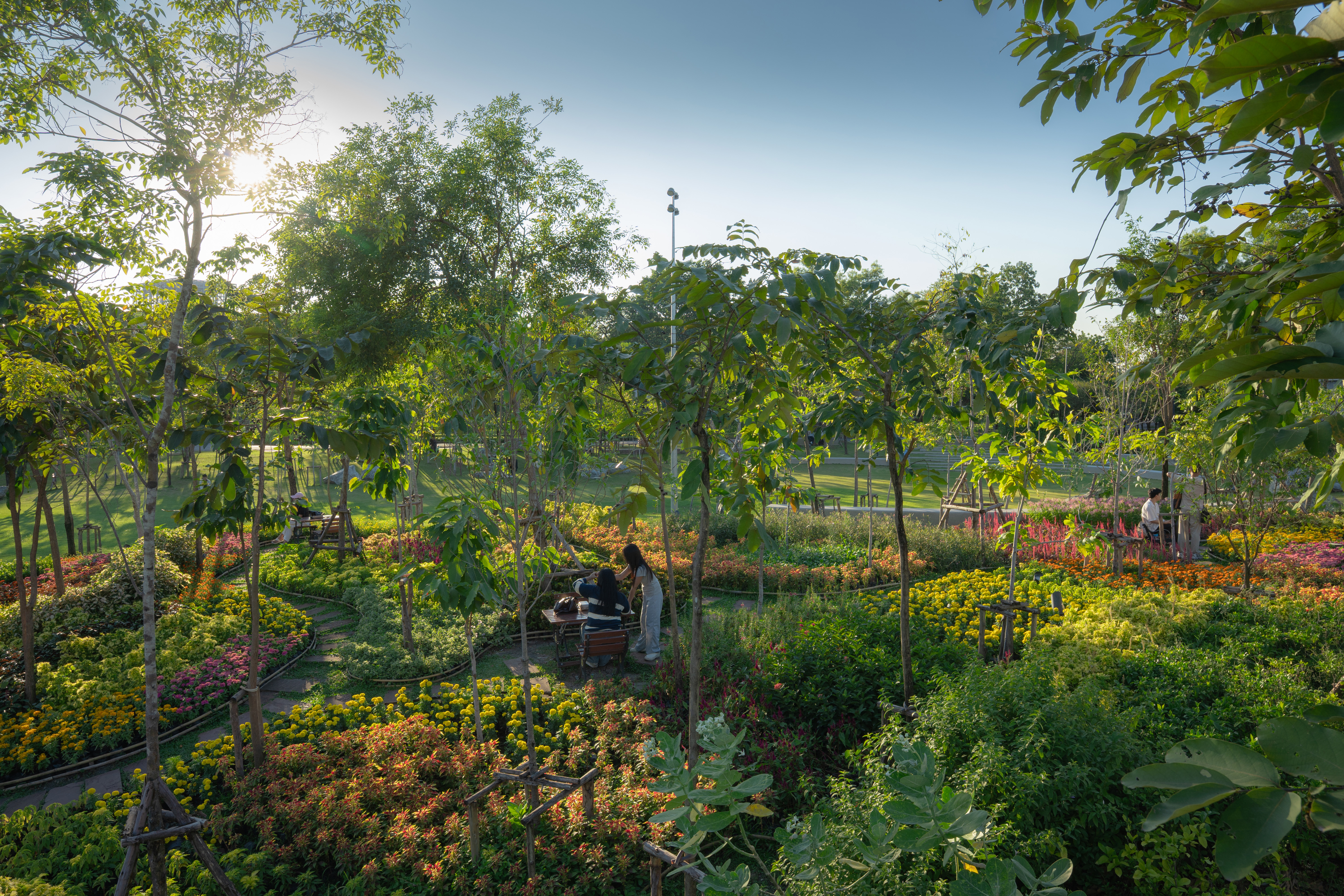 Chak Phupha Su Maha Nathee Park by Shma Company Limited - Architizer
