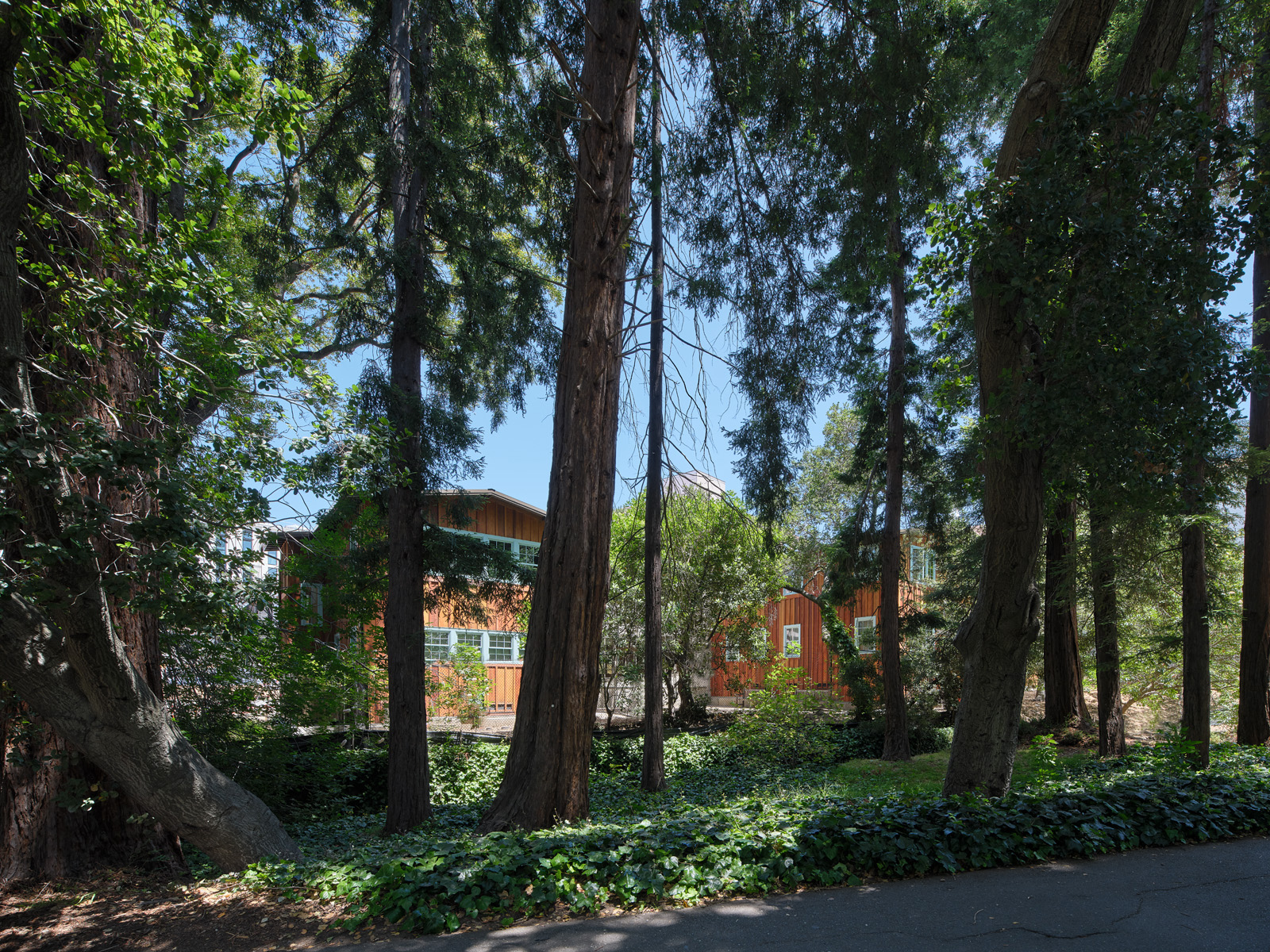 UC Berkeley Creekside Center by LEDDY MAYTUM STACY Architects - Architizer
