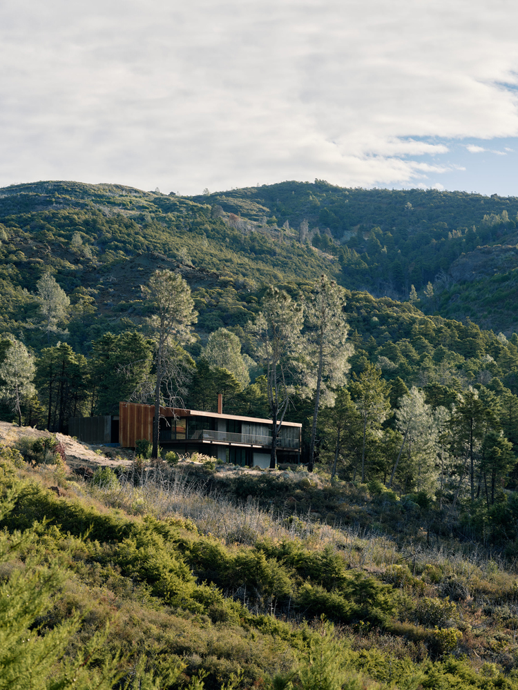 Pine Flat by Faulkner Architects - Architizer