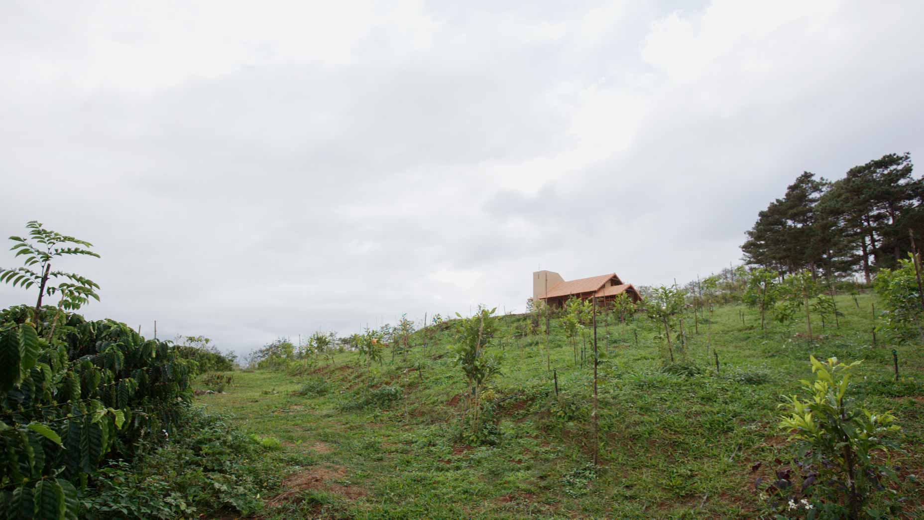 Di Linh House by K59 Atelier - Architizer