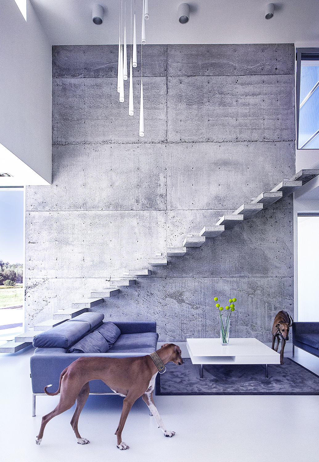 Eco House by BXB studio Boguslaw Barnas - Architizer