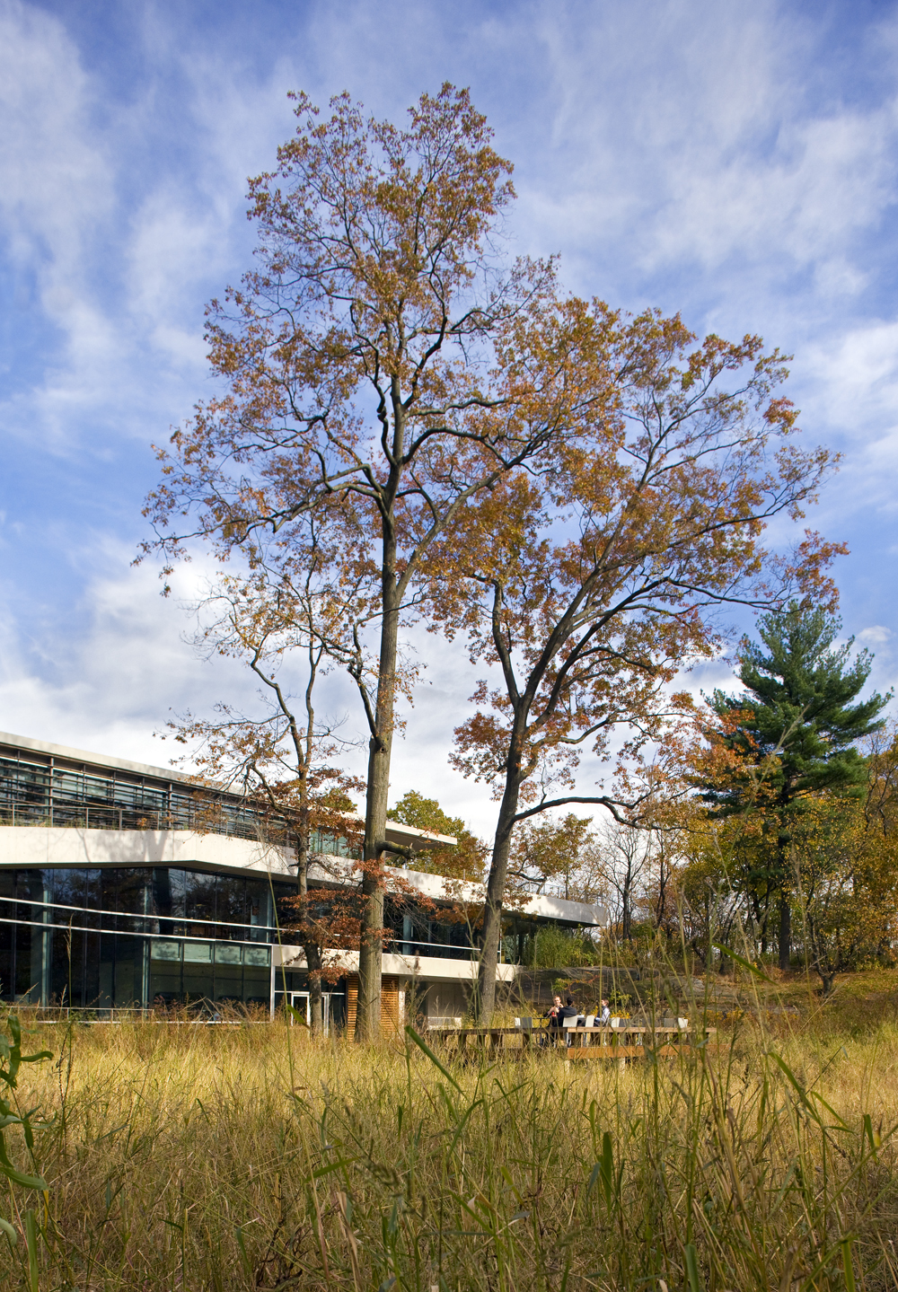 Center for Global Conservation by FXCollaborative - Architizer