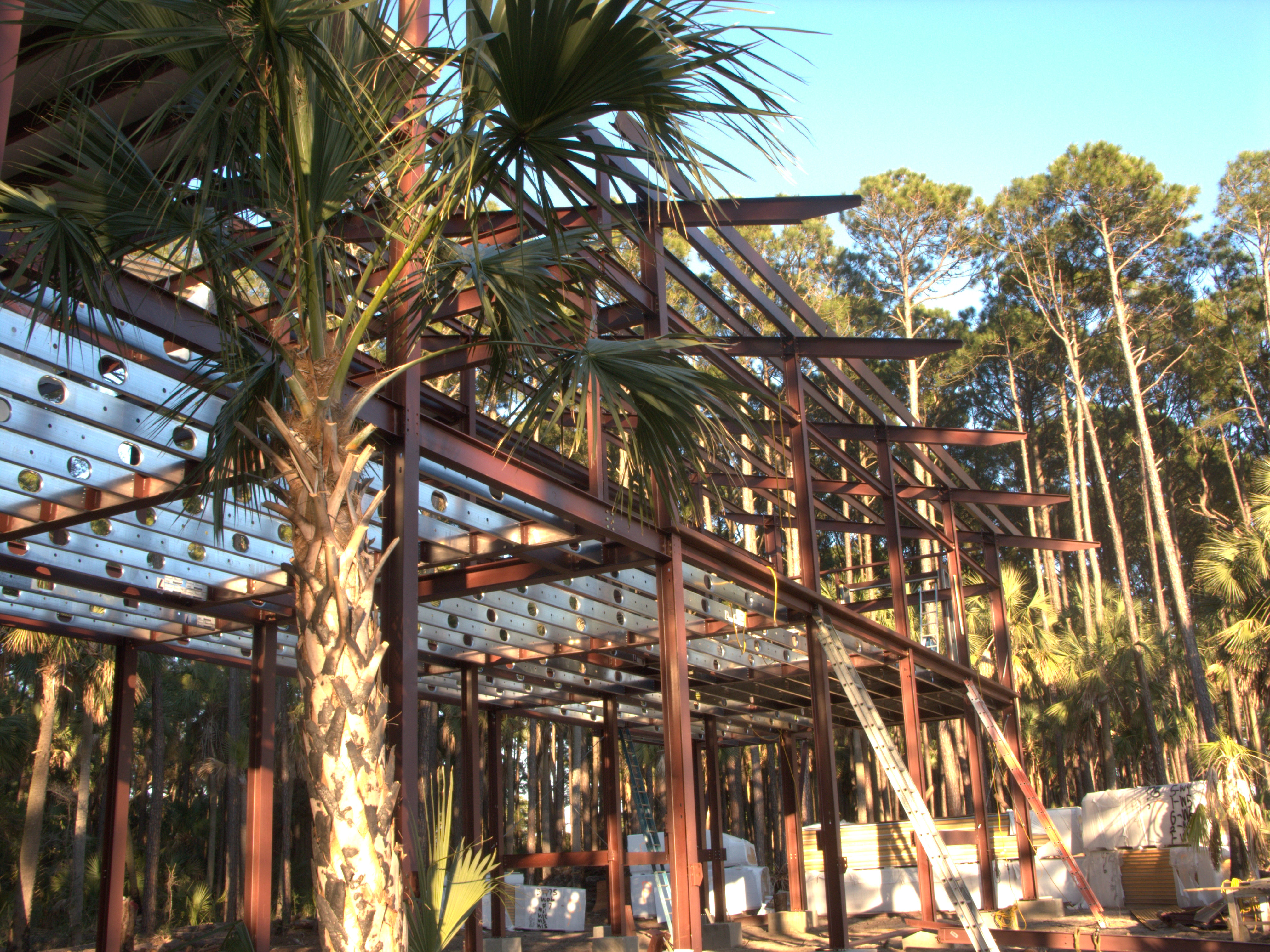 Cusabo Island Steel Home - Architizer