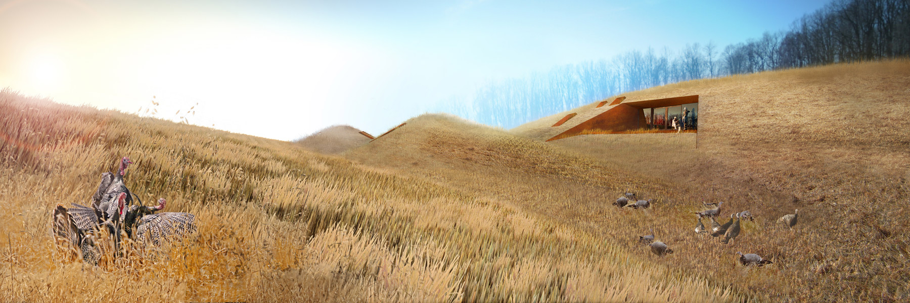 Linear House by Patkau Architects - Architizer