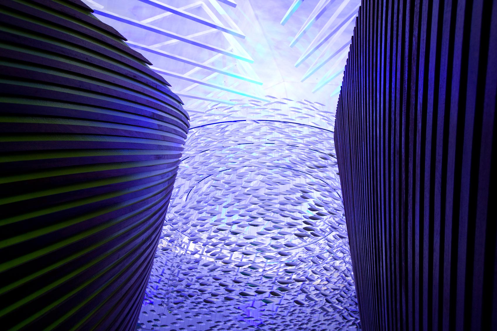 ALBERT ANGEL Architecture & Interior Design - Architizer