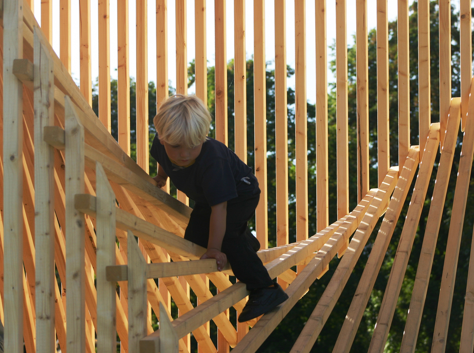 Organic Cube - Architizer