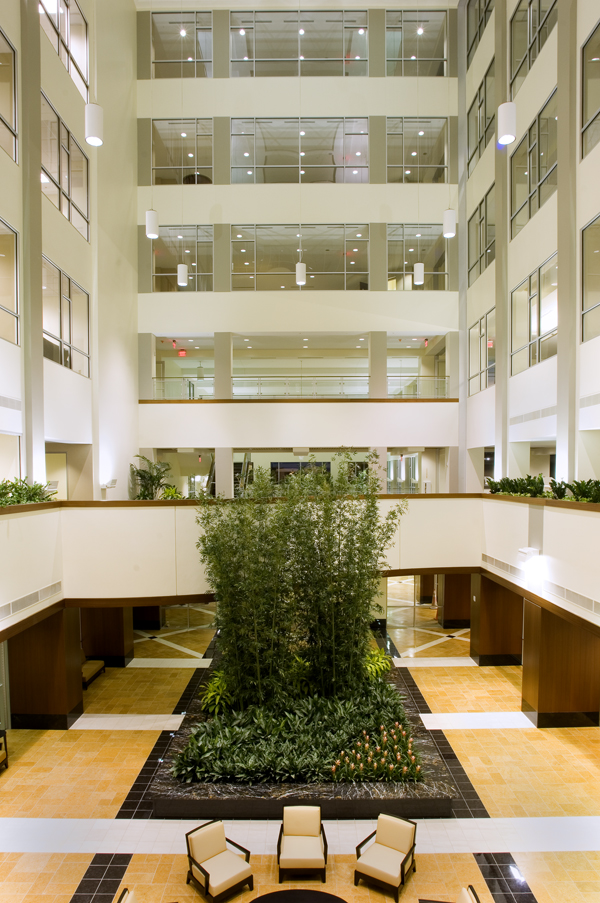 CSO Architects - Architizer