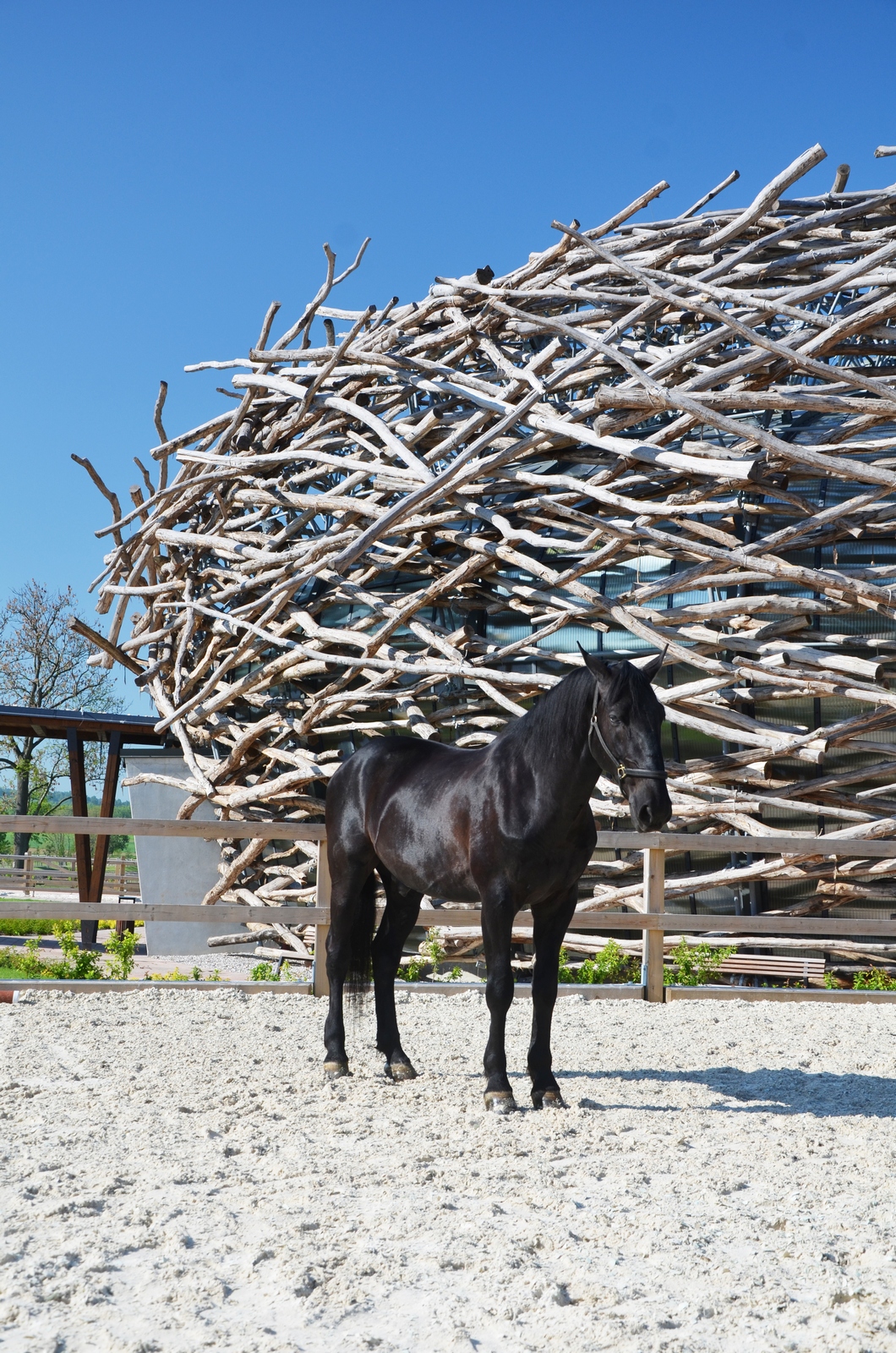 The Stork Nest Farm by SGL Projekt - Architizer