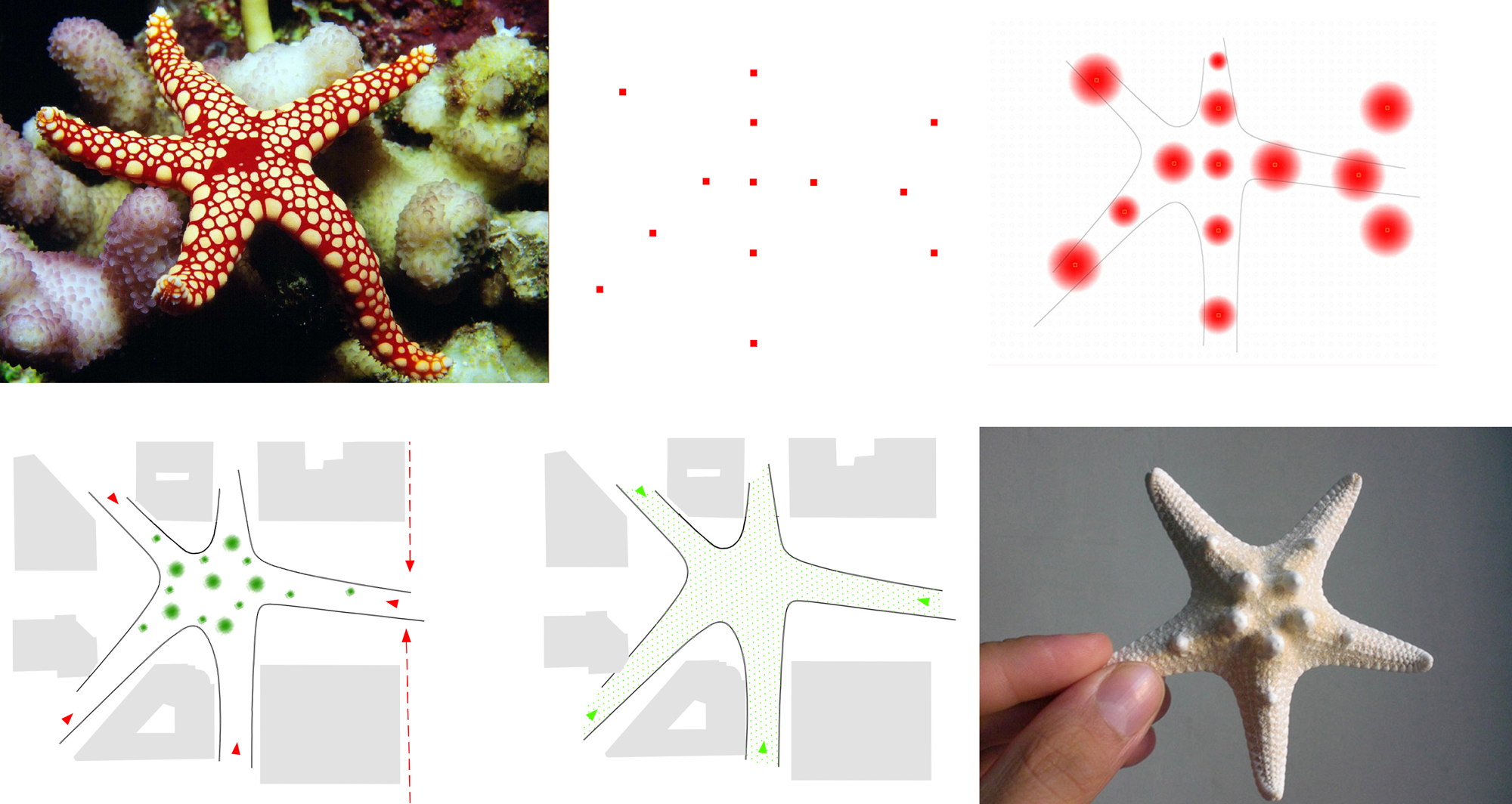 STARFISH SQUARE by Schiavello Architects Office - SAO architecture ...