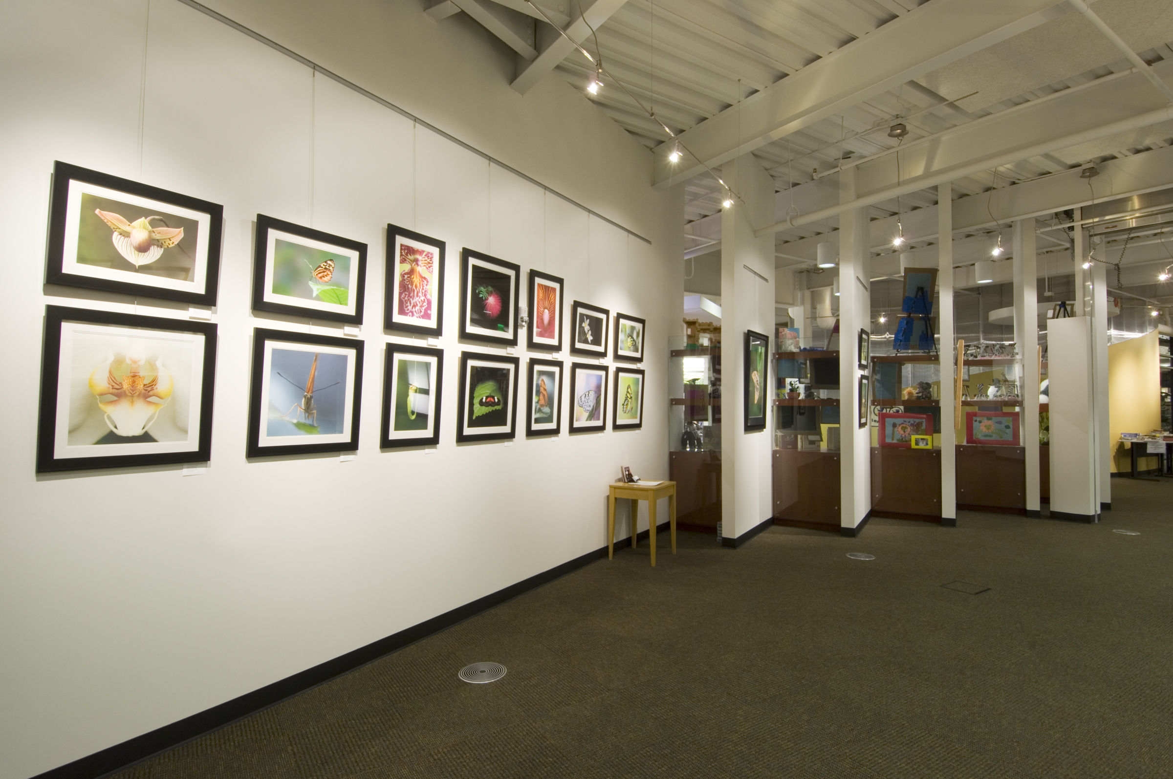 Louisville Public Library - Architizer