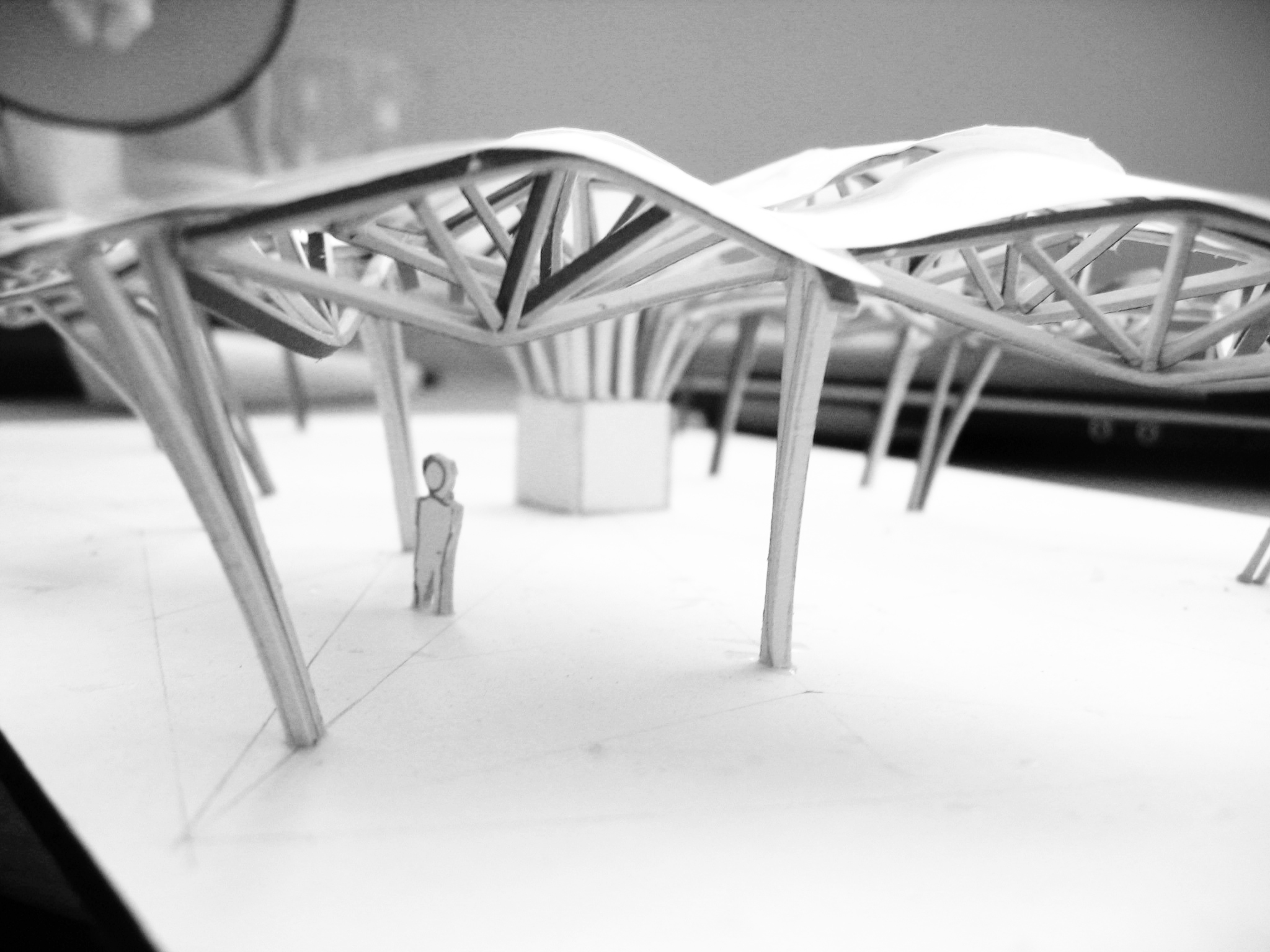 Bamboo Clam Shell Pavilion - Architizer