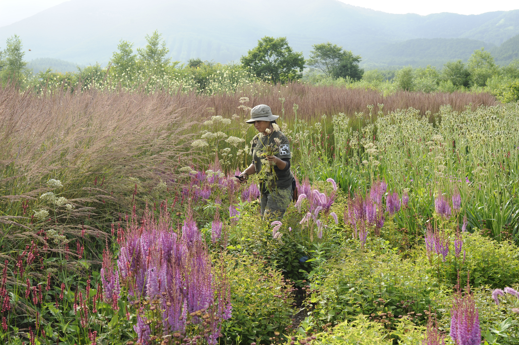 Tokachi Millennium Forest by Dan Pearson Studio - Architizer