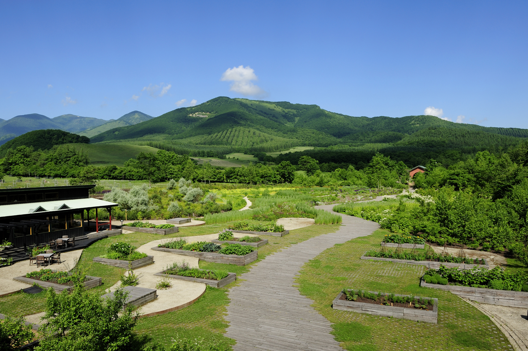 Tokachi Millennium Forest by Dan Pearson Studio - Architizer
