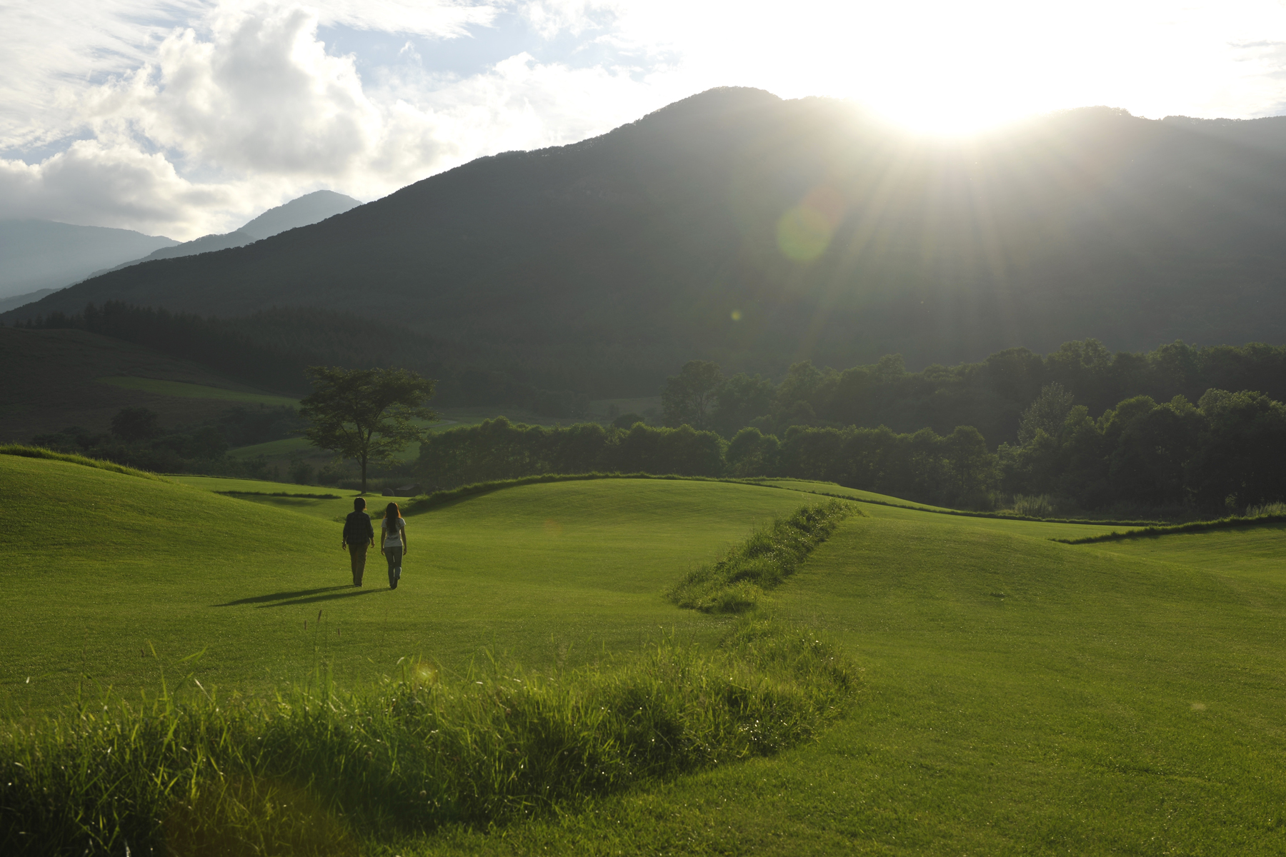 Tokachi Millennium Forest by Dan Pearson Studio - Architizer