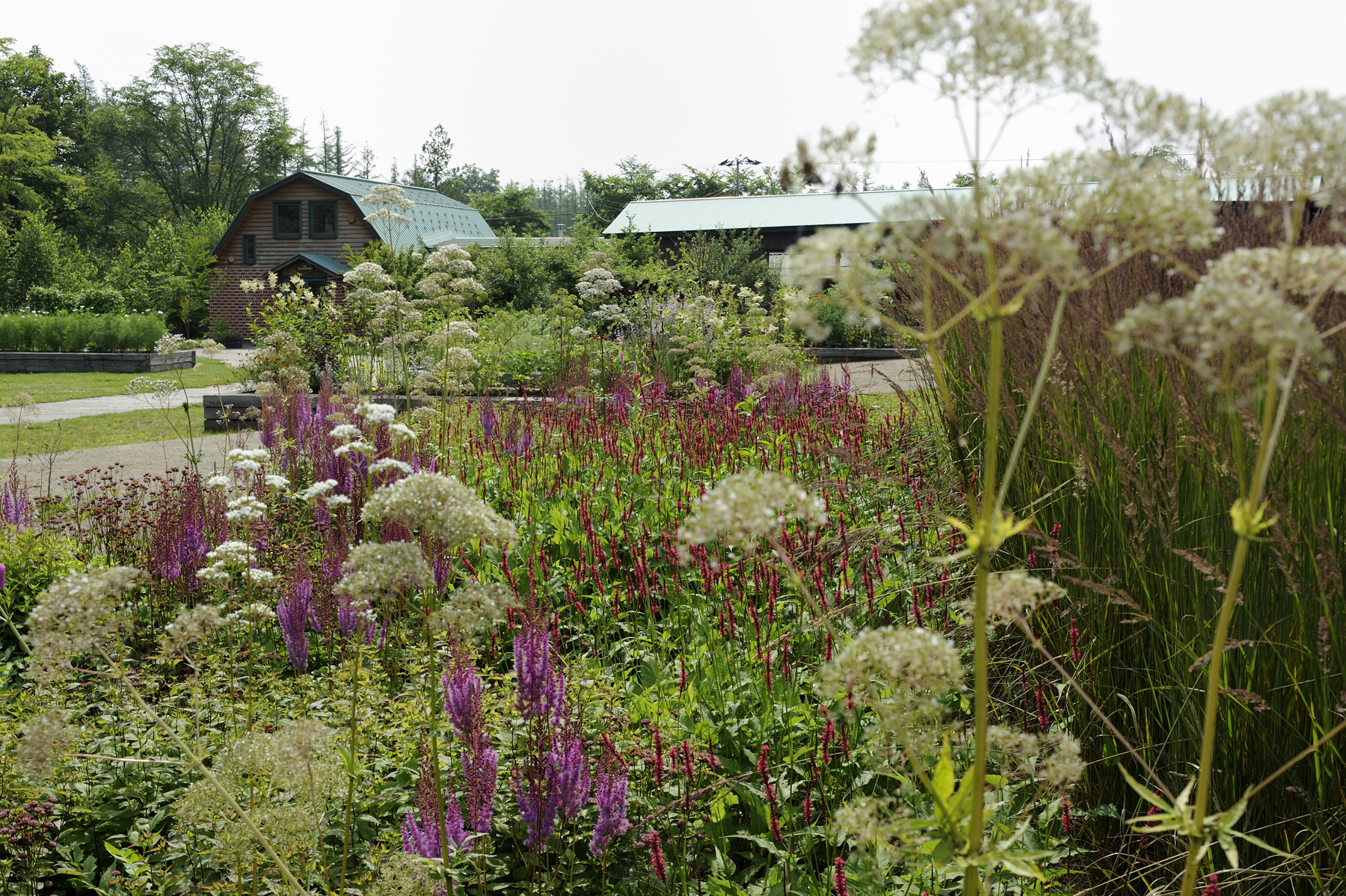 Tokachi Millennium Forest by Dan Pearson Studio - Architizer