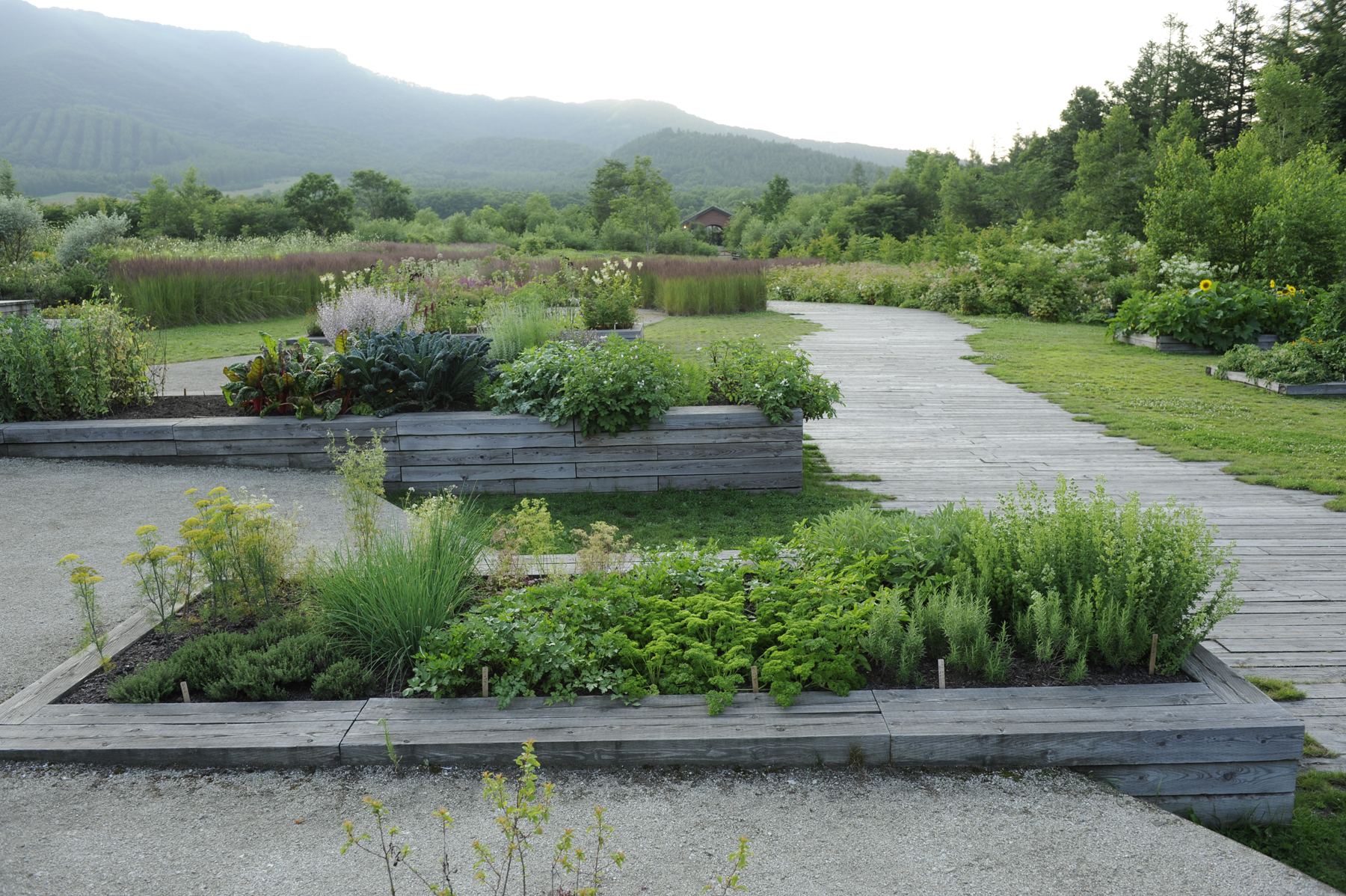 Tokachi Millennium Forest by Dan Pearson Studio - Architizer
