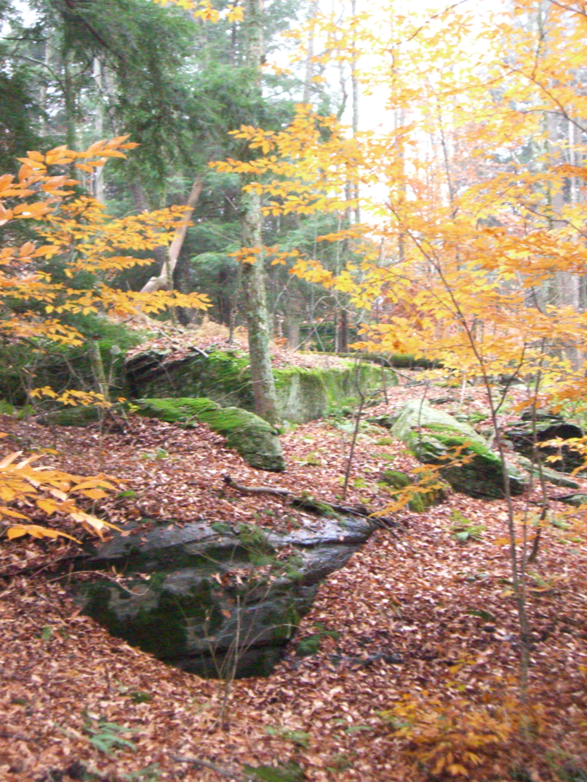 Hard Soft House by INC Architecture & Design - Architizer