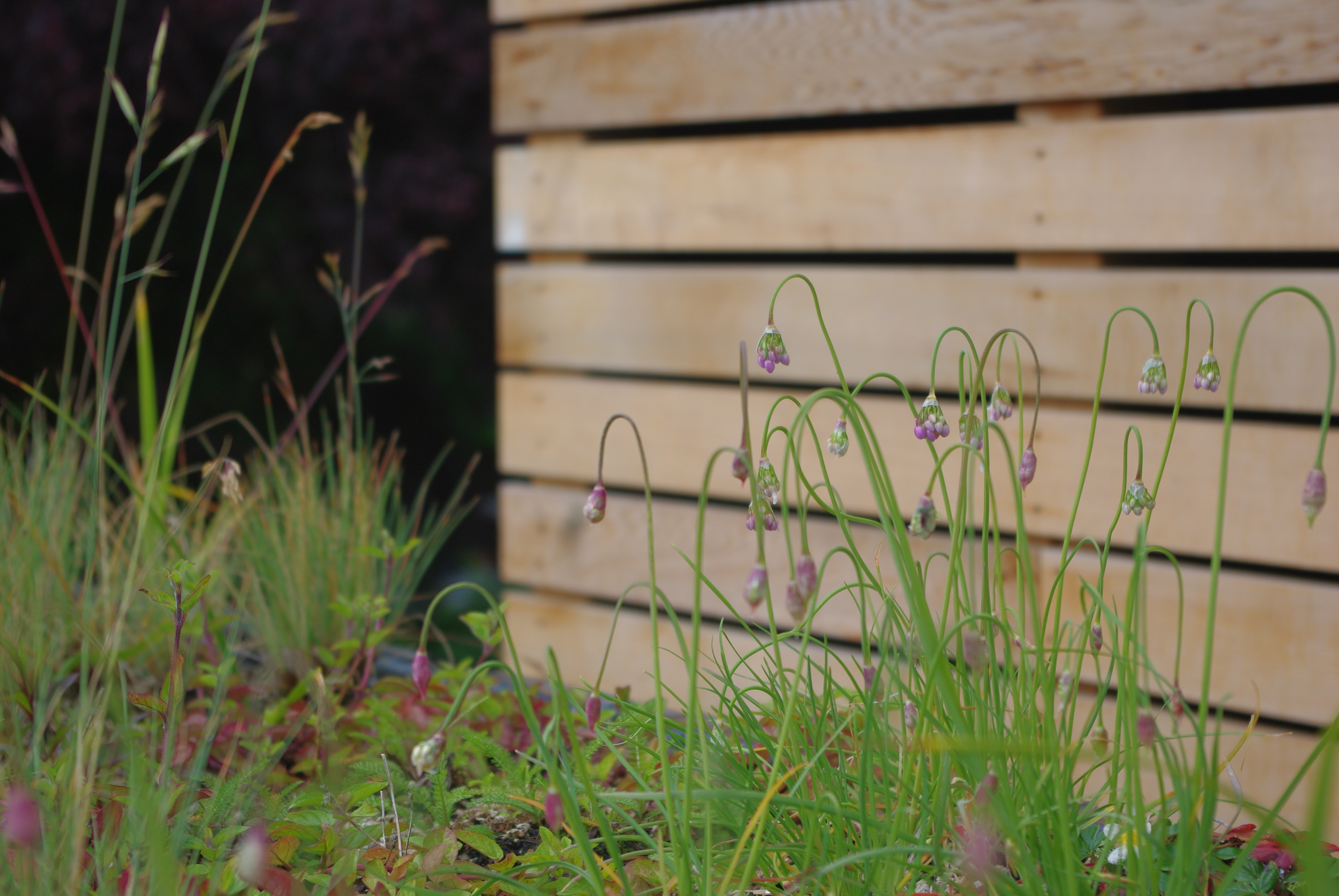 Harpoon House by Design for Occupancy, Architecture - Architizer