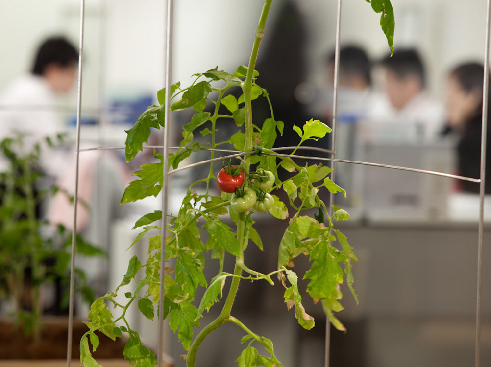 Pasona H.Q. Tokyo by Pasona Group, Kono Designs LLC - Architizer