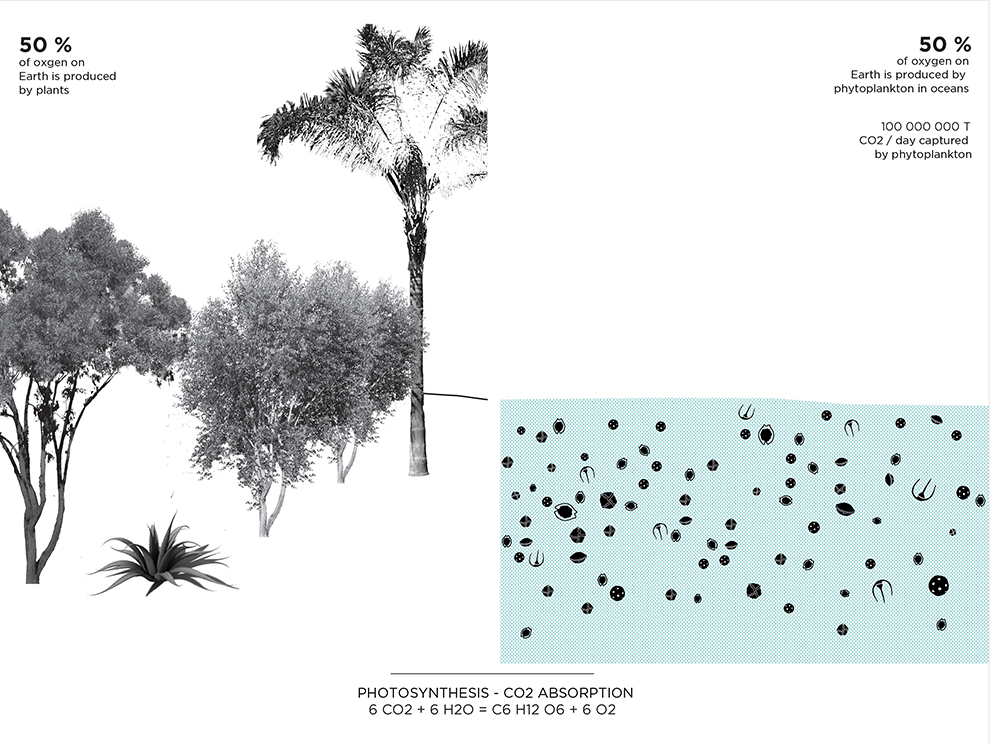 Bloom: Aquatic Farm by SITBON ARCHITECTES - Architizer