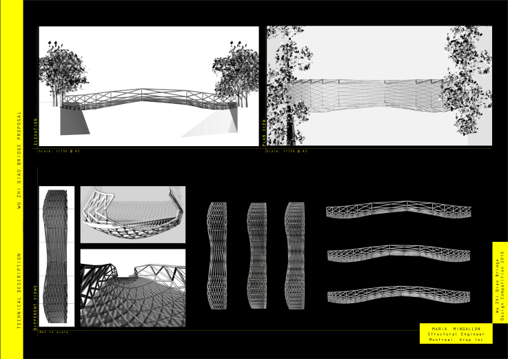 WZQ Diagrid Bridge - Architizer Competition 2011 - Architizer