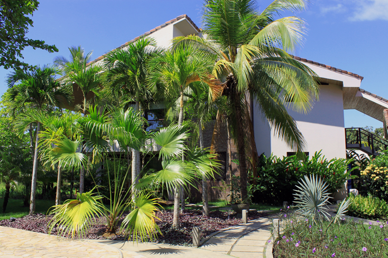 HOTEL The Zancudo Lodge - Architizer