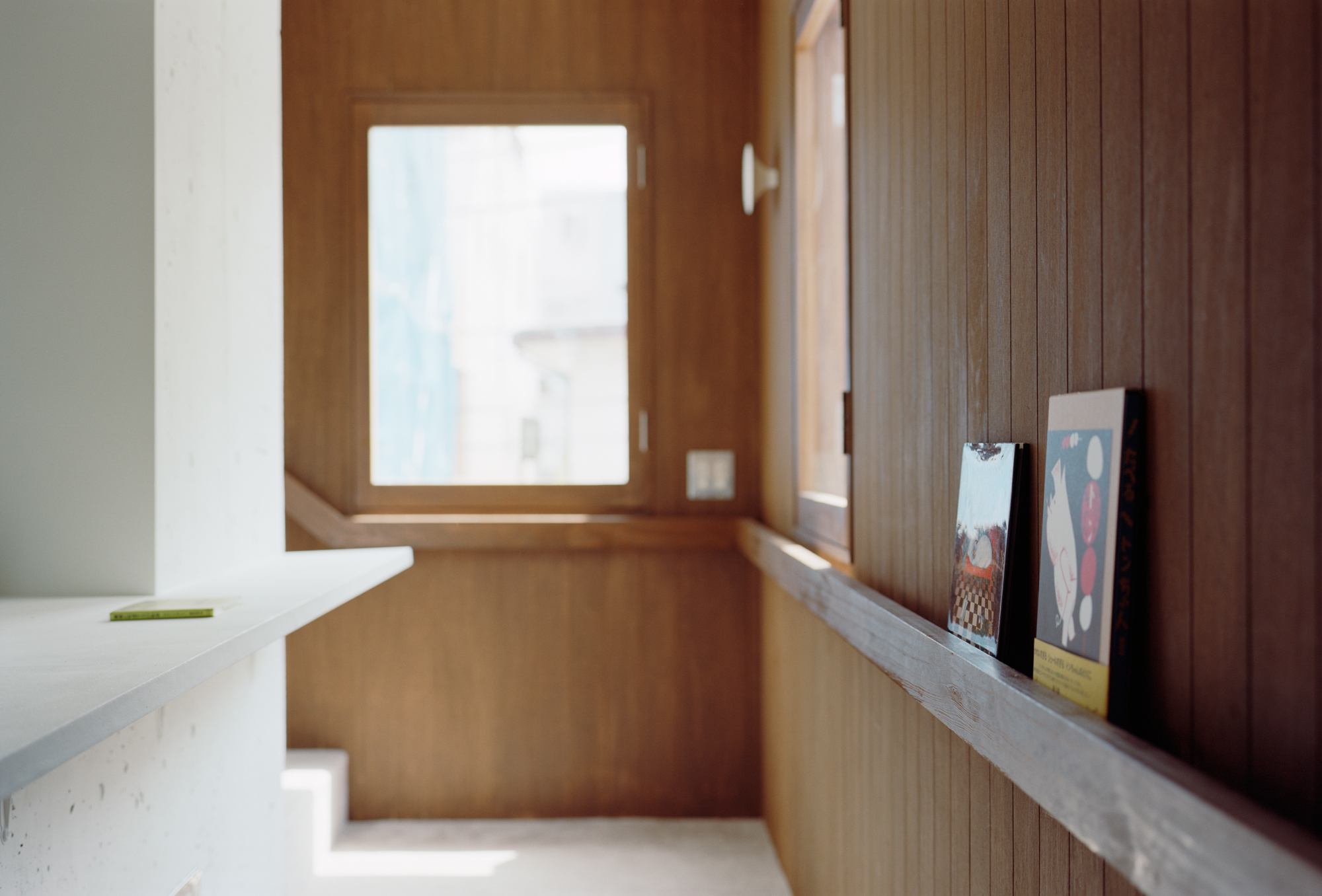 Double Helix House by Onishimaki + Hyakudayuki Architects - Architizer