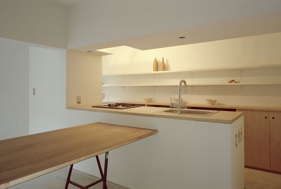 Double Helix House by Onishimaki + Hyakudayuki Architects - Architizer