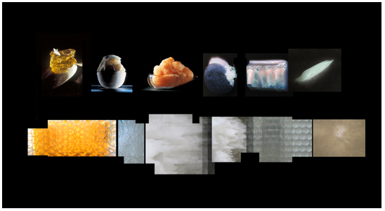 fish&tech laboratory - Architizer