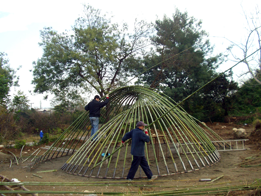 Bamboo Structure - Architizer