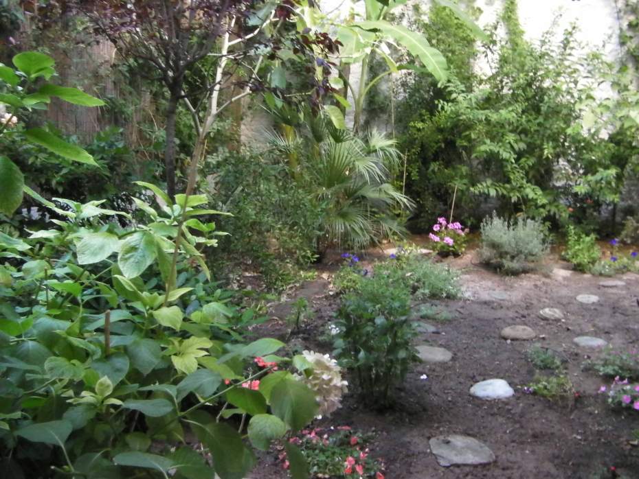 Acropolis House - Architizer