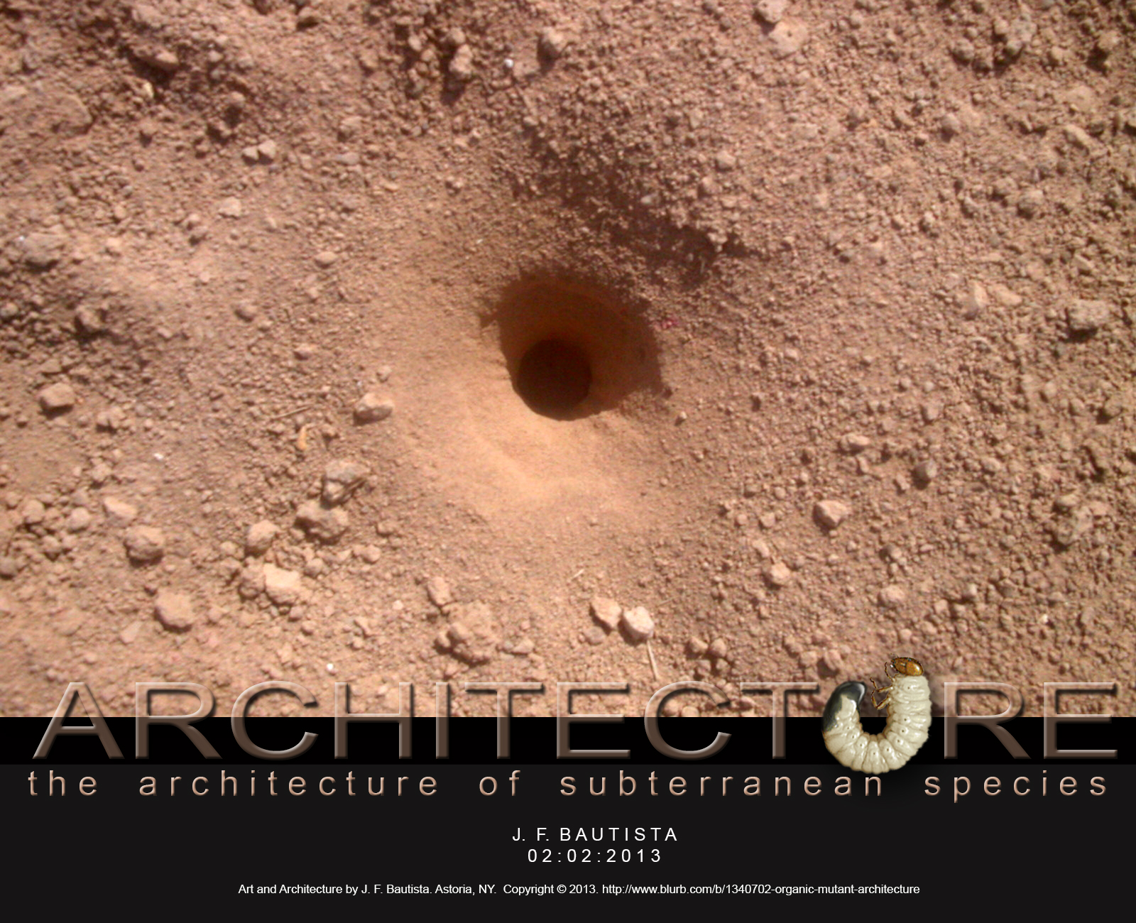 Architecture of Subterranean Species - Architizer