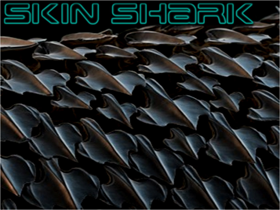 Shark Skin - Architizer