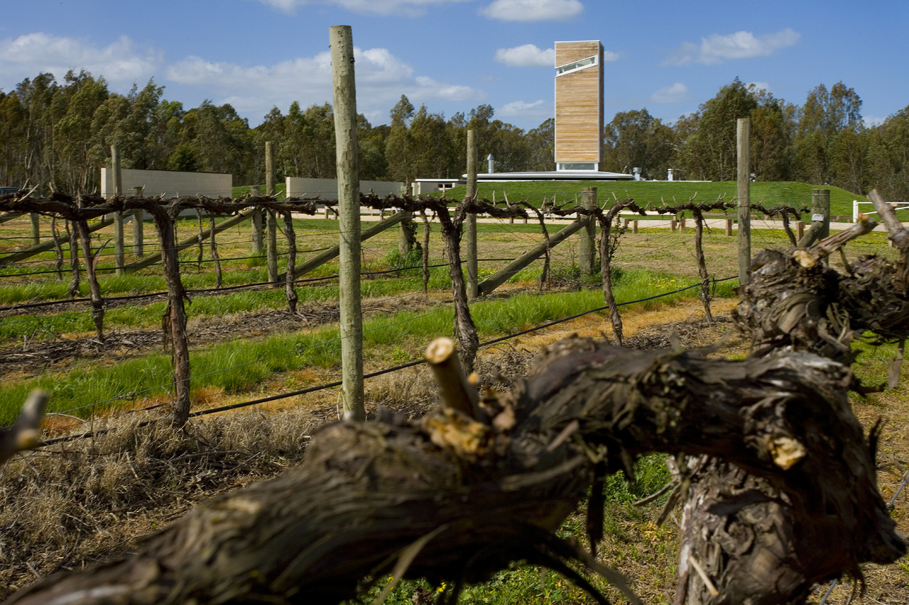 Sam Miranda Winery by PopovBass Architects - Architizer