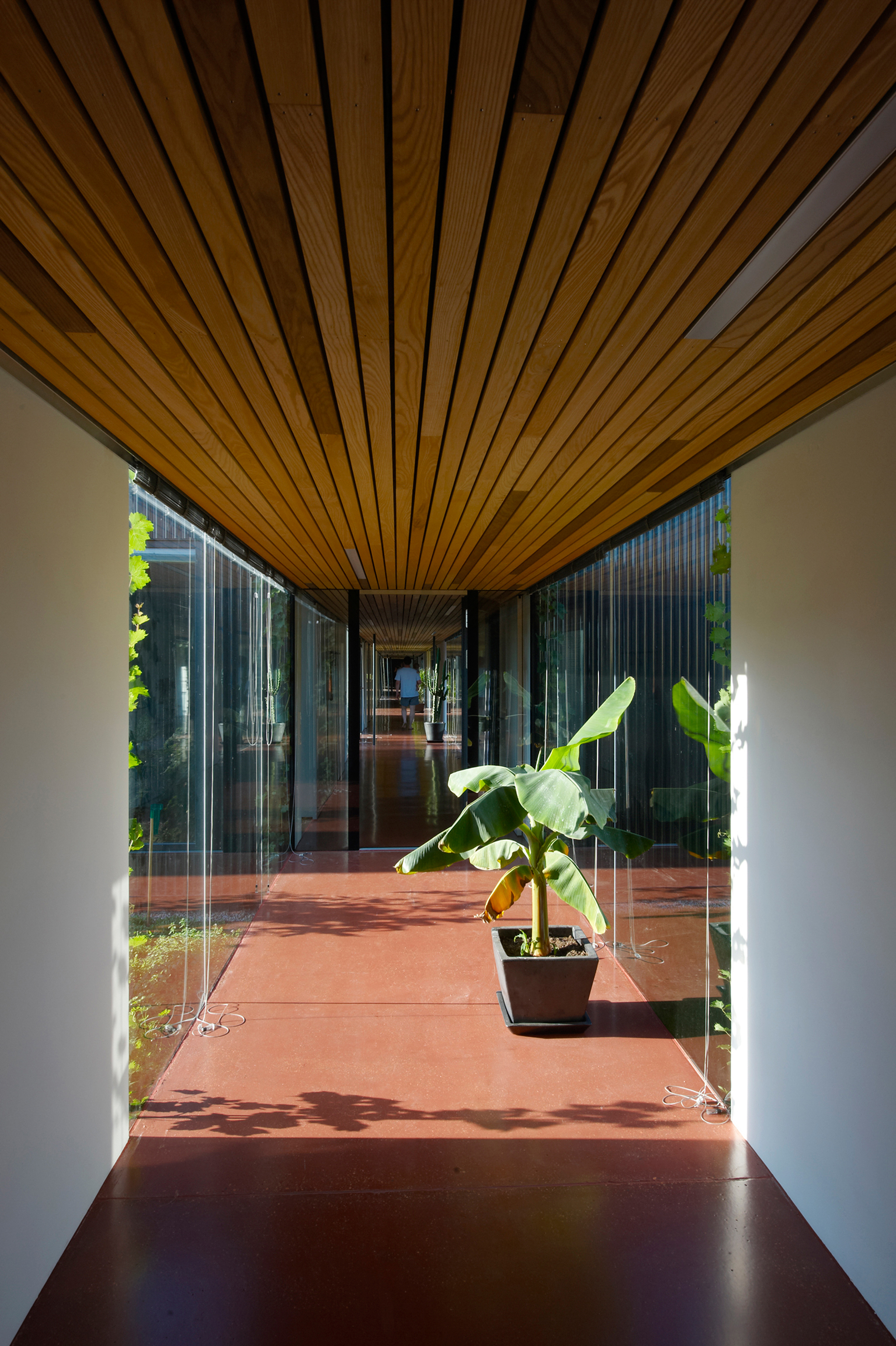 Streckhof reloaded - family house by Franz&Sue - Architizer
