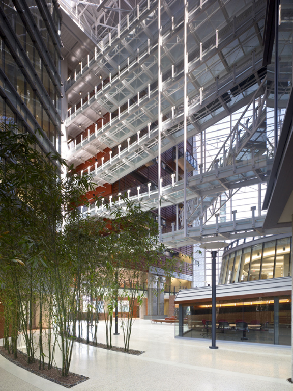 University of Cincinnatti CARE/Crawley Building by STUDIOS Architecture ...